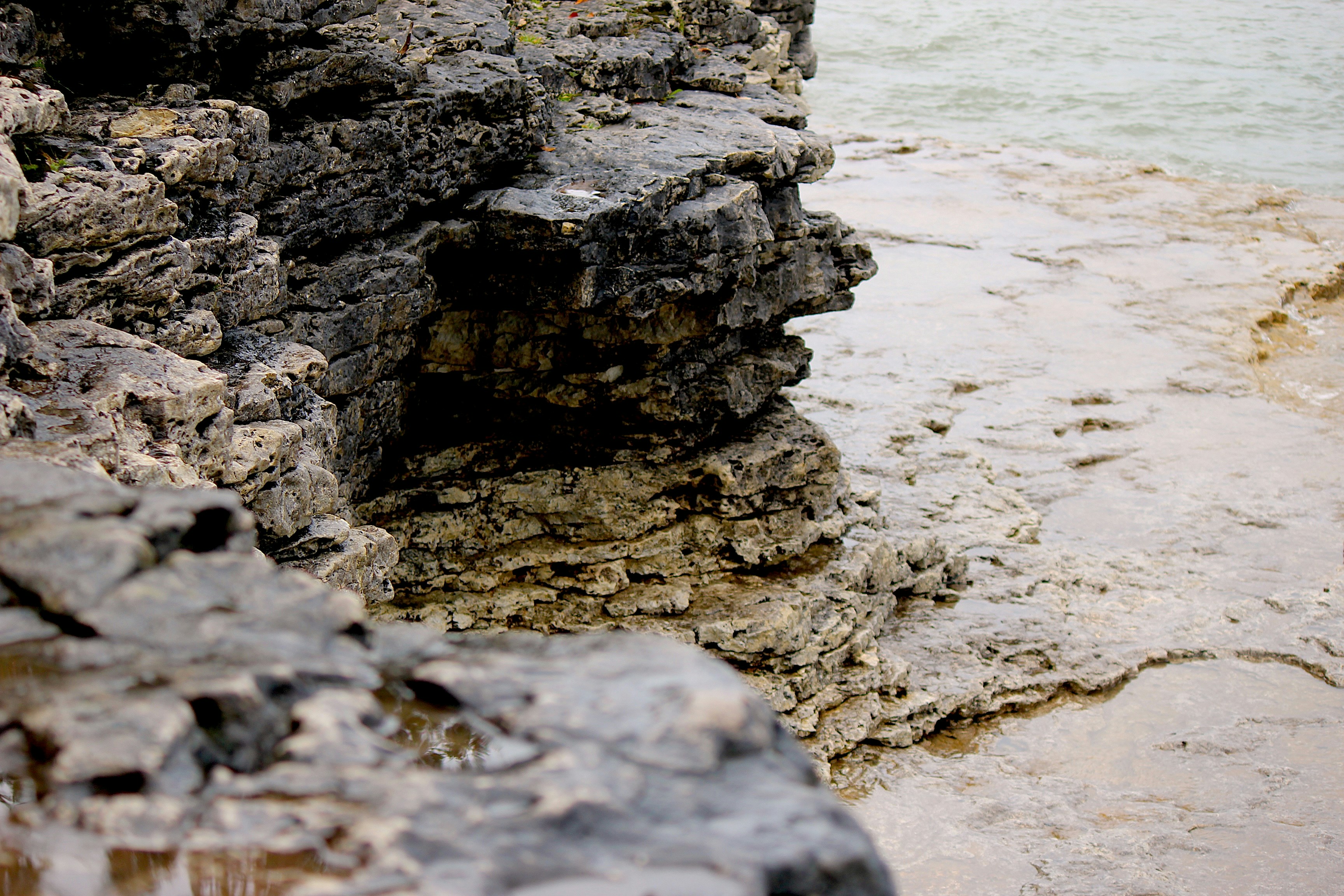 Limestone Carvings Meet Tidal Edge
