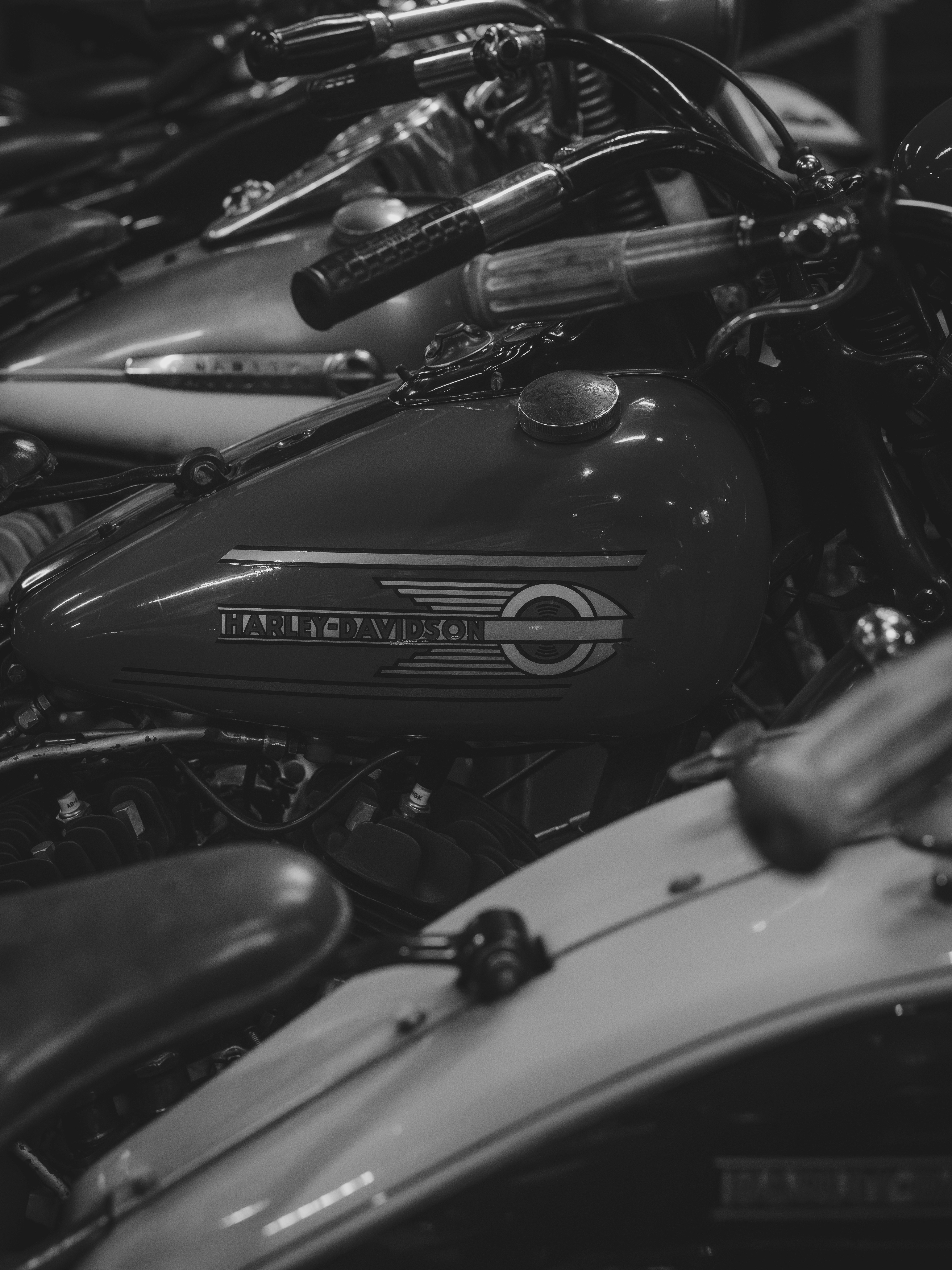 Harley in Focus: A Quiet Parade of Chrome and Heritage