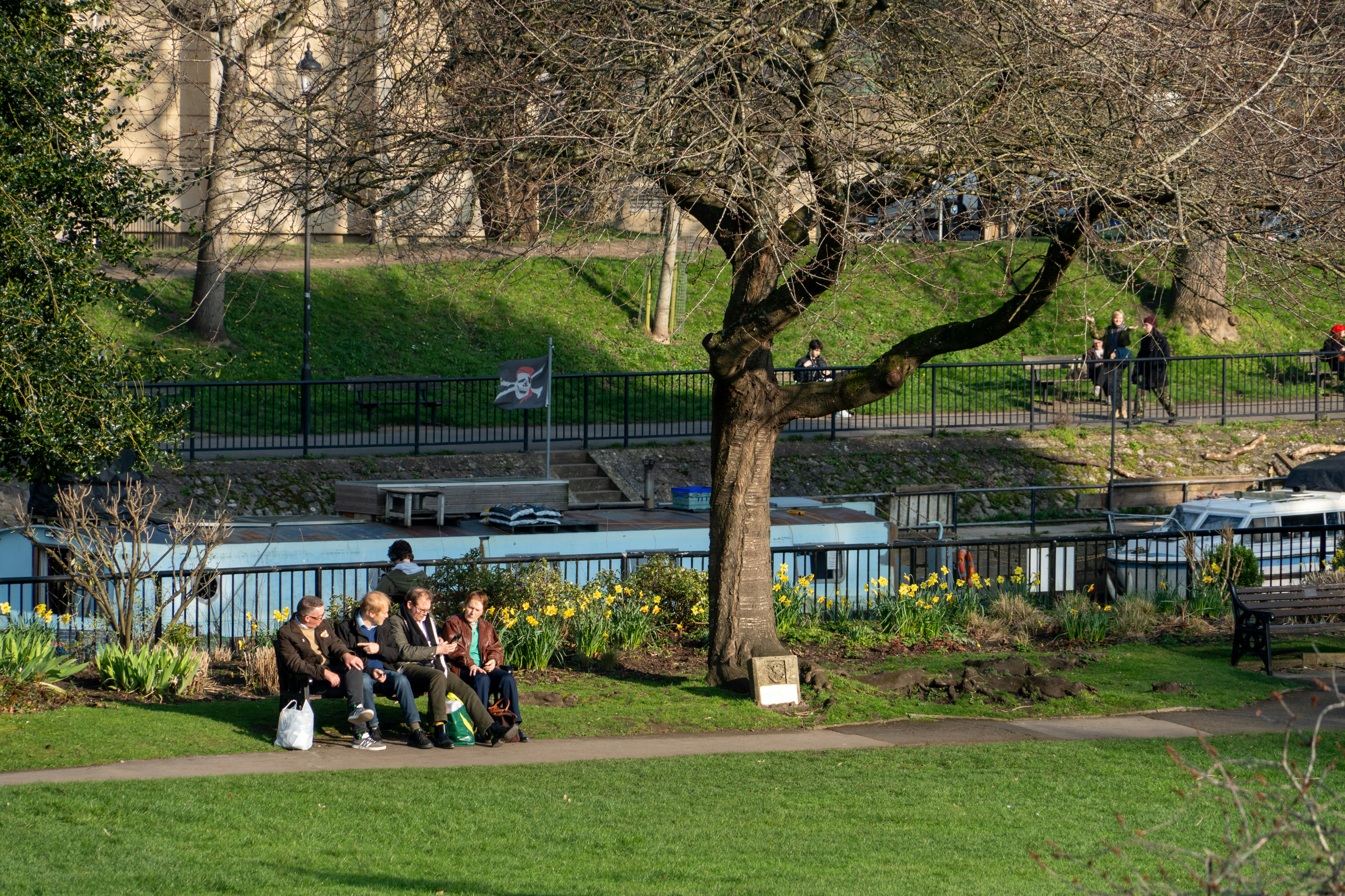 Group of visitors resting near the park's edge with a tree as focal frame