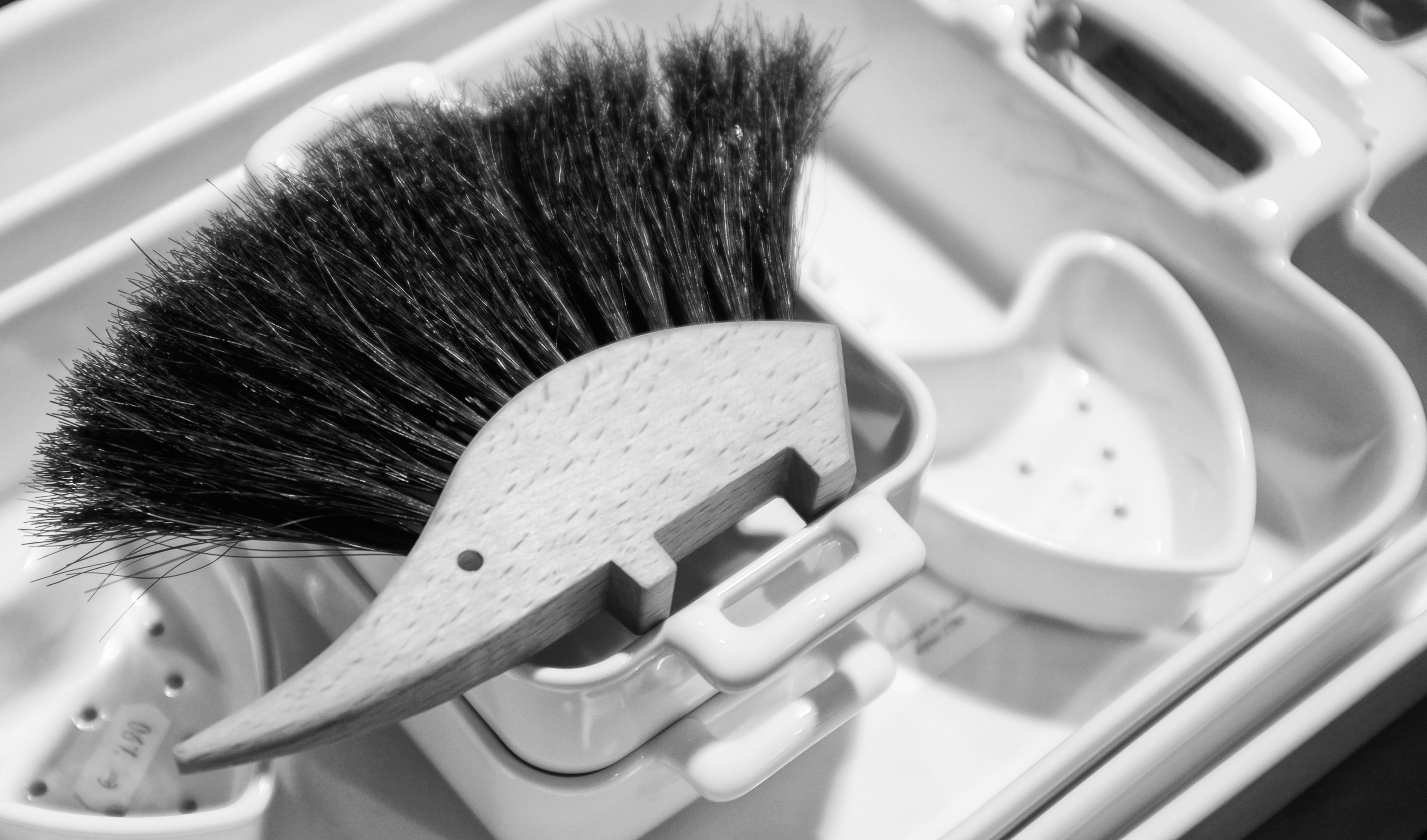 Brush and case: a close-up of grooming tools resting in a compact kit