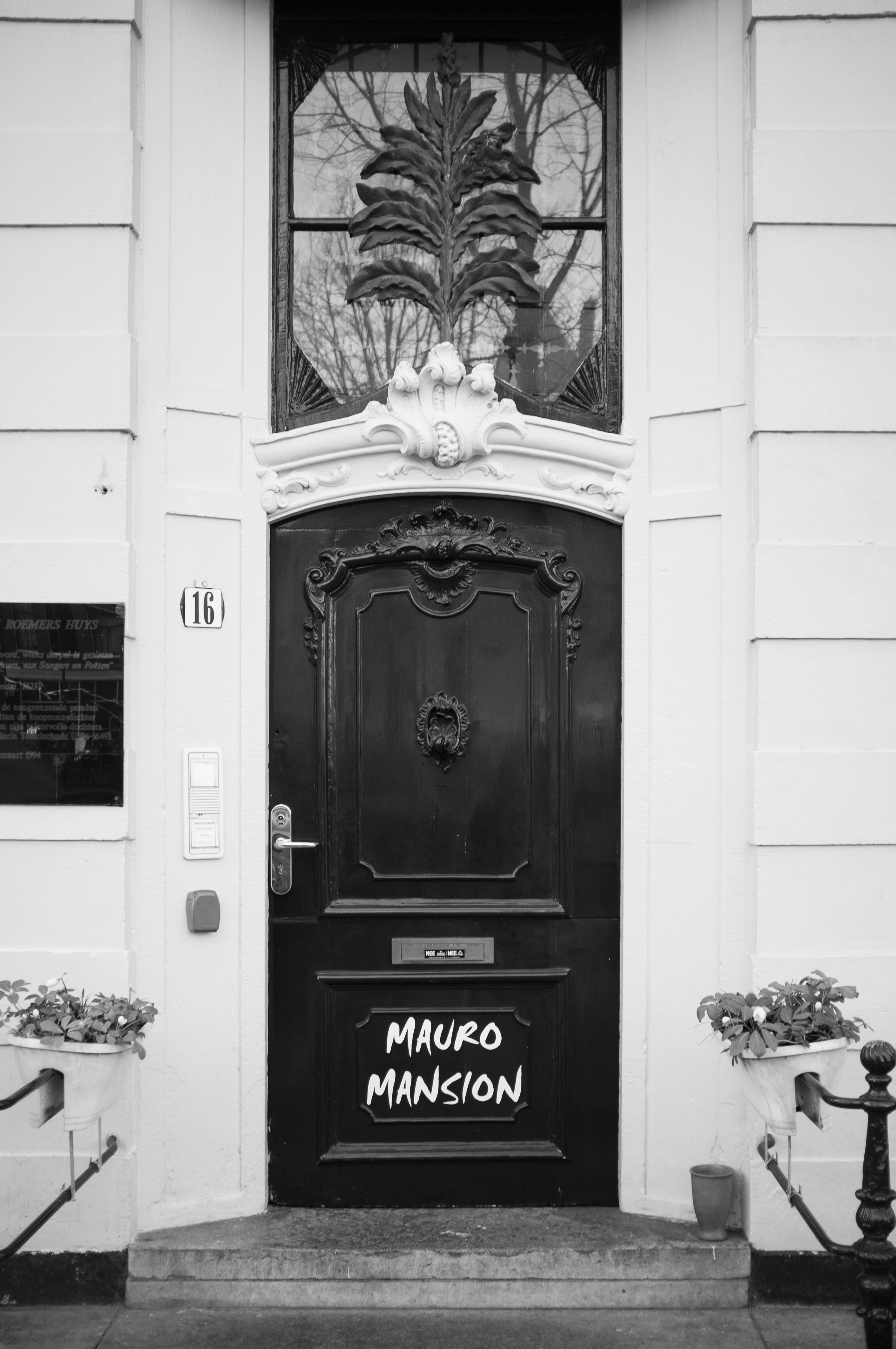 Doorway to Mauro Mansion: A Monochrome Entrance with Ornate Detailing