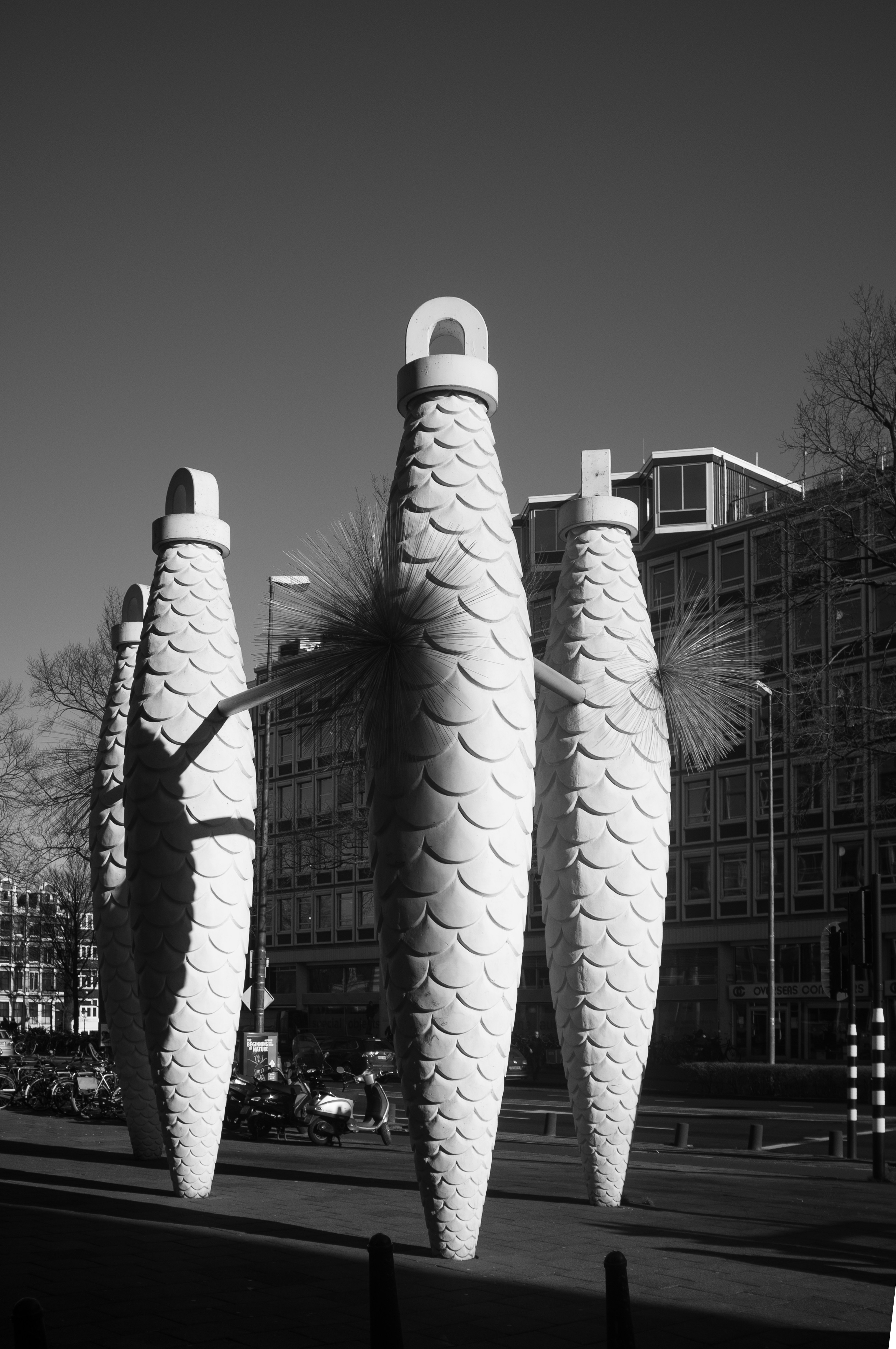 Trompe-l-oeil Pines: towering sculptural guardians along the city street