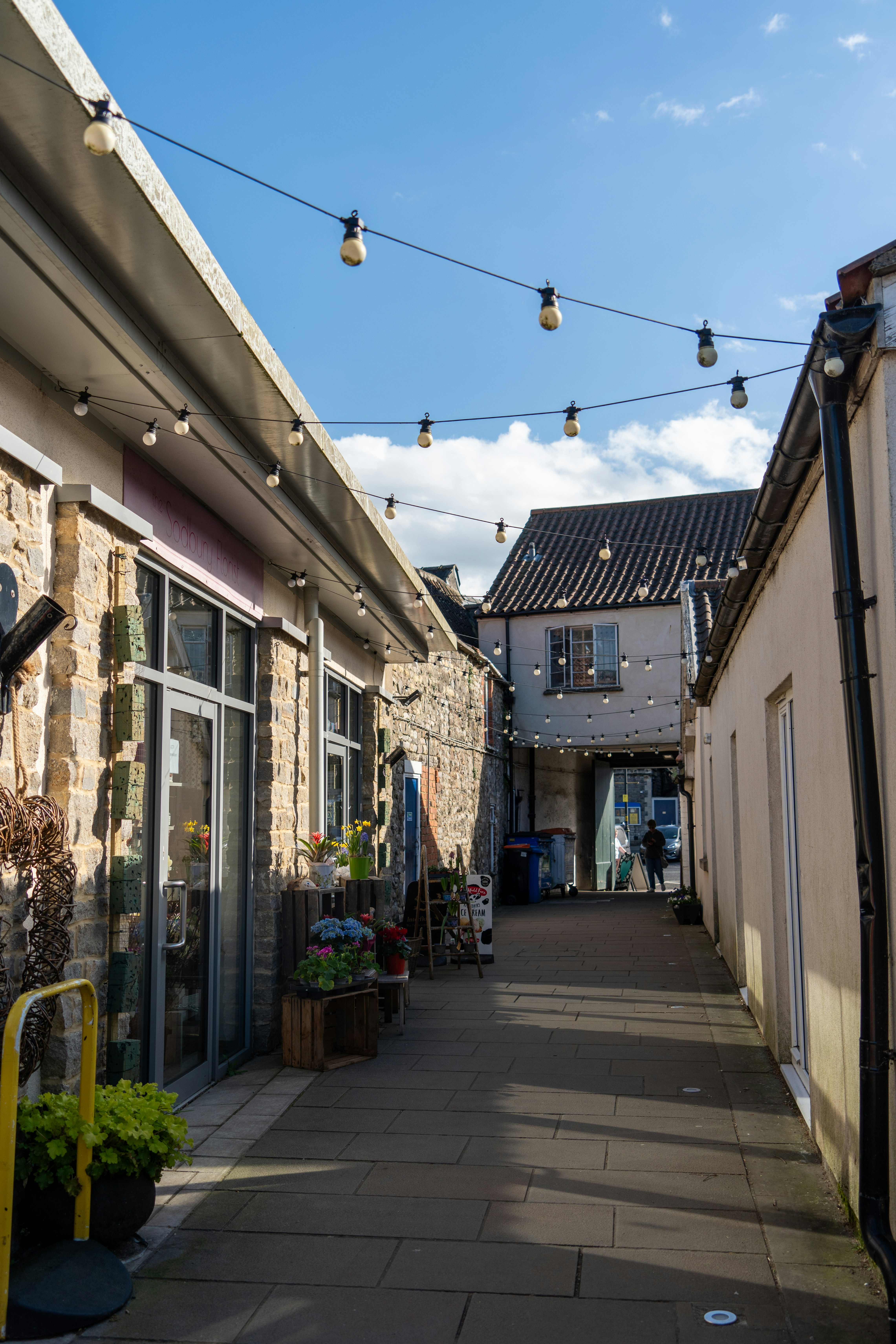 String Lights Over a Quiet Alley in Dappled Sunlight