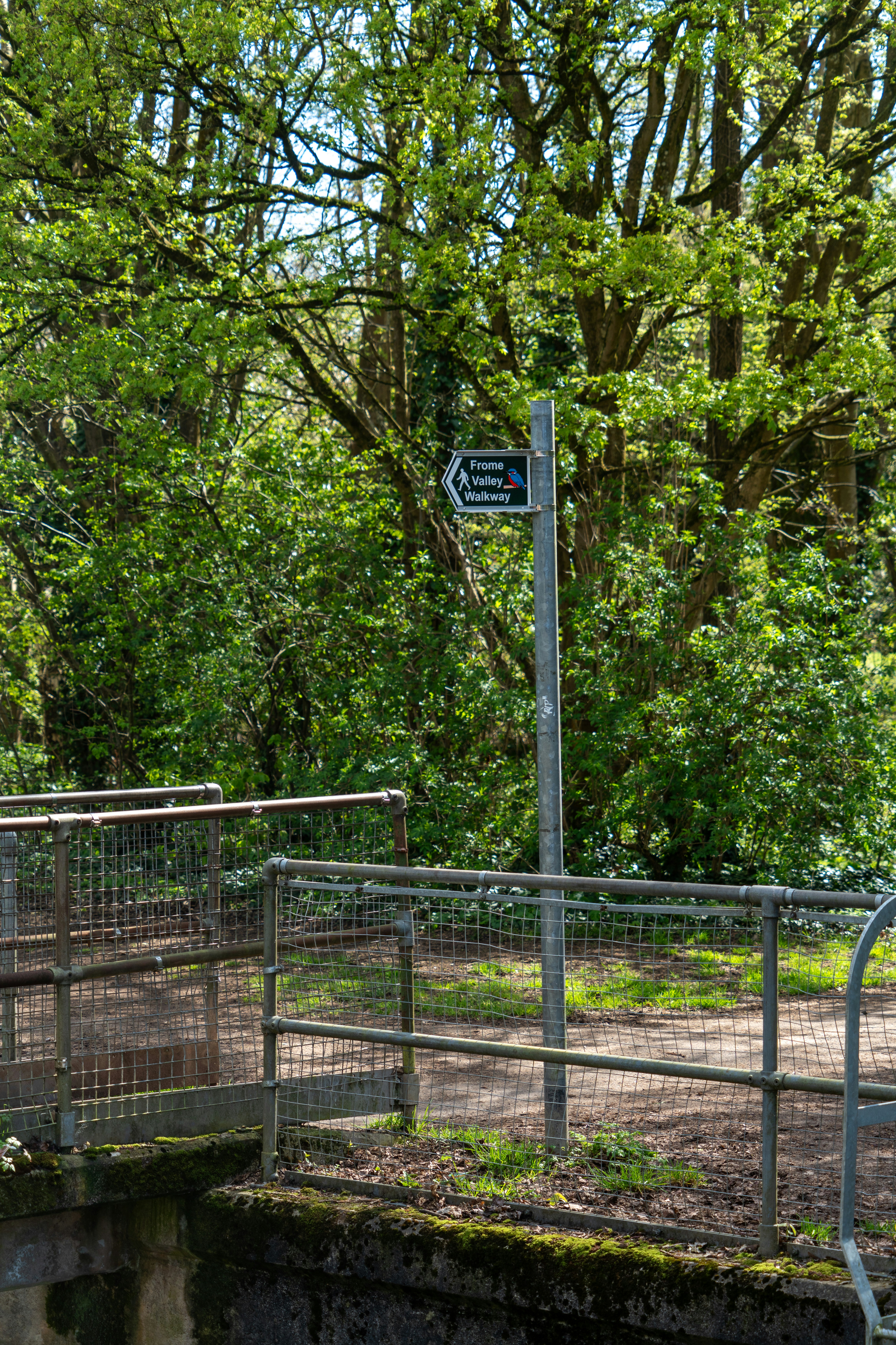 Signpost Overlooking a Shaded Canal Path