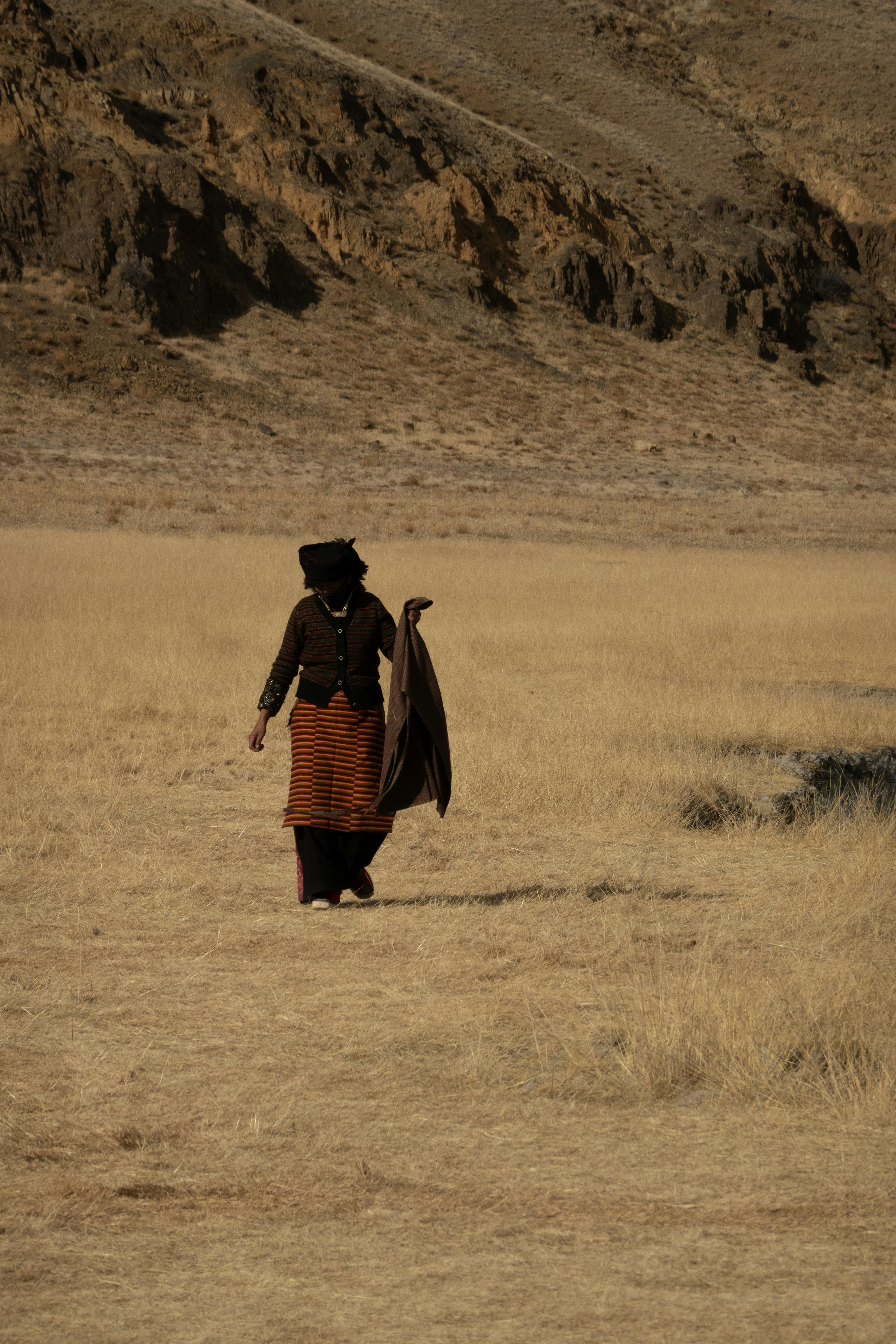 Traveler in Desert Heather: A solitary figure crossing the sunlit plain