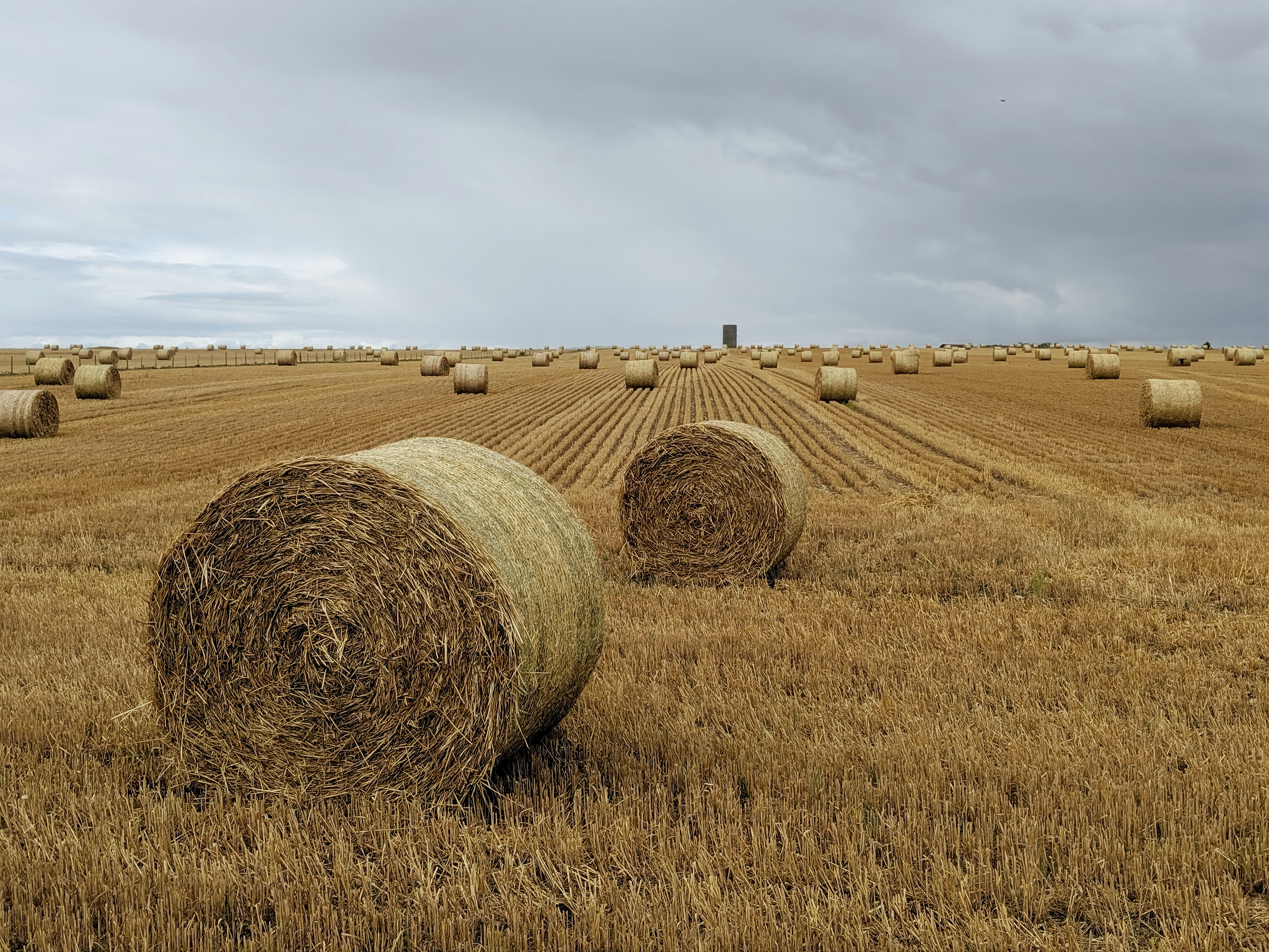 Golden Bales across a Quiet Harvest Field