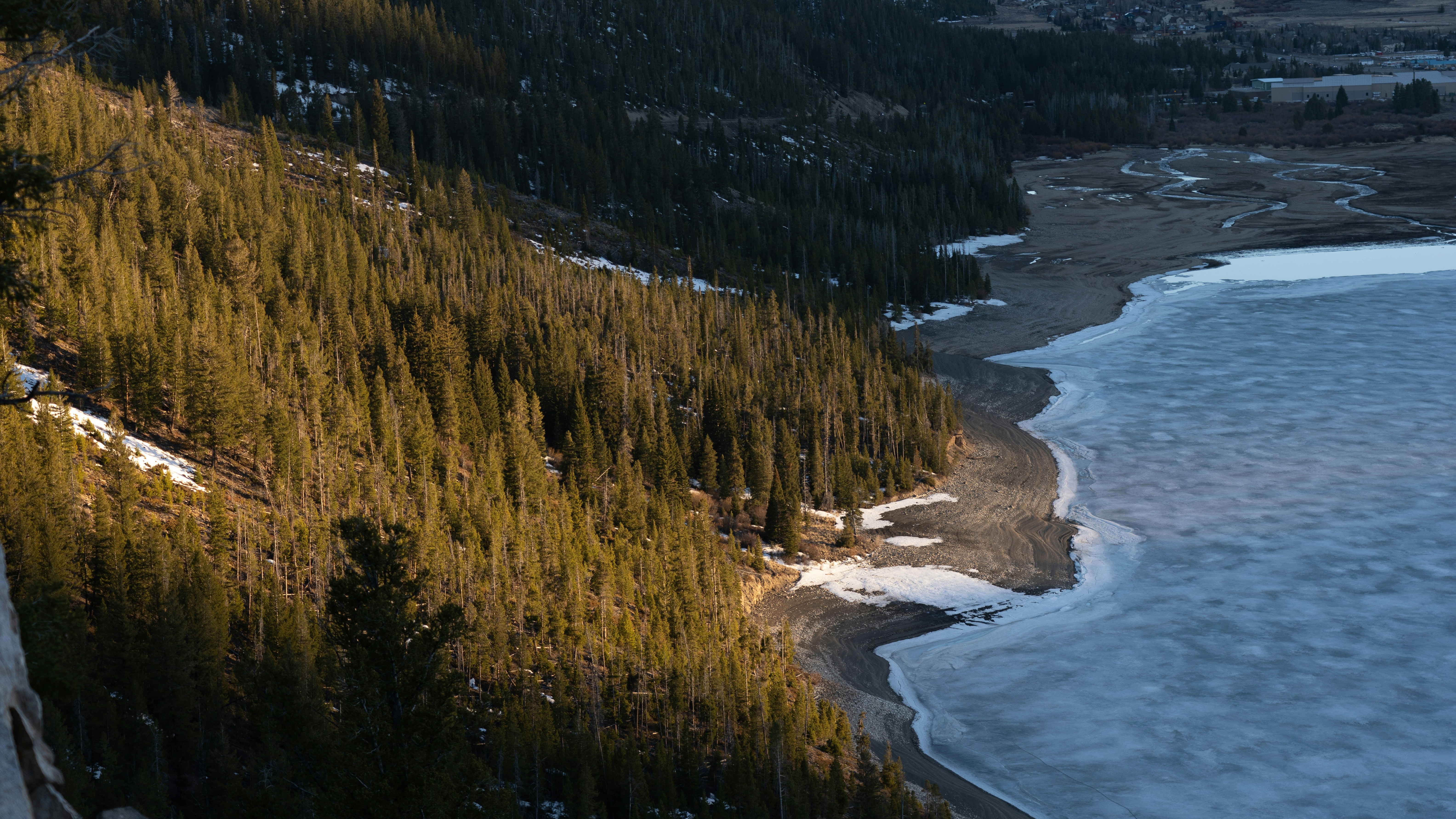 Sunlit Pines Framing a Frozen Lake Edge