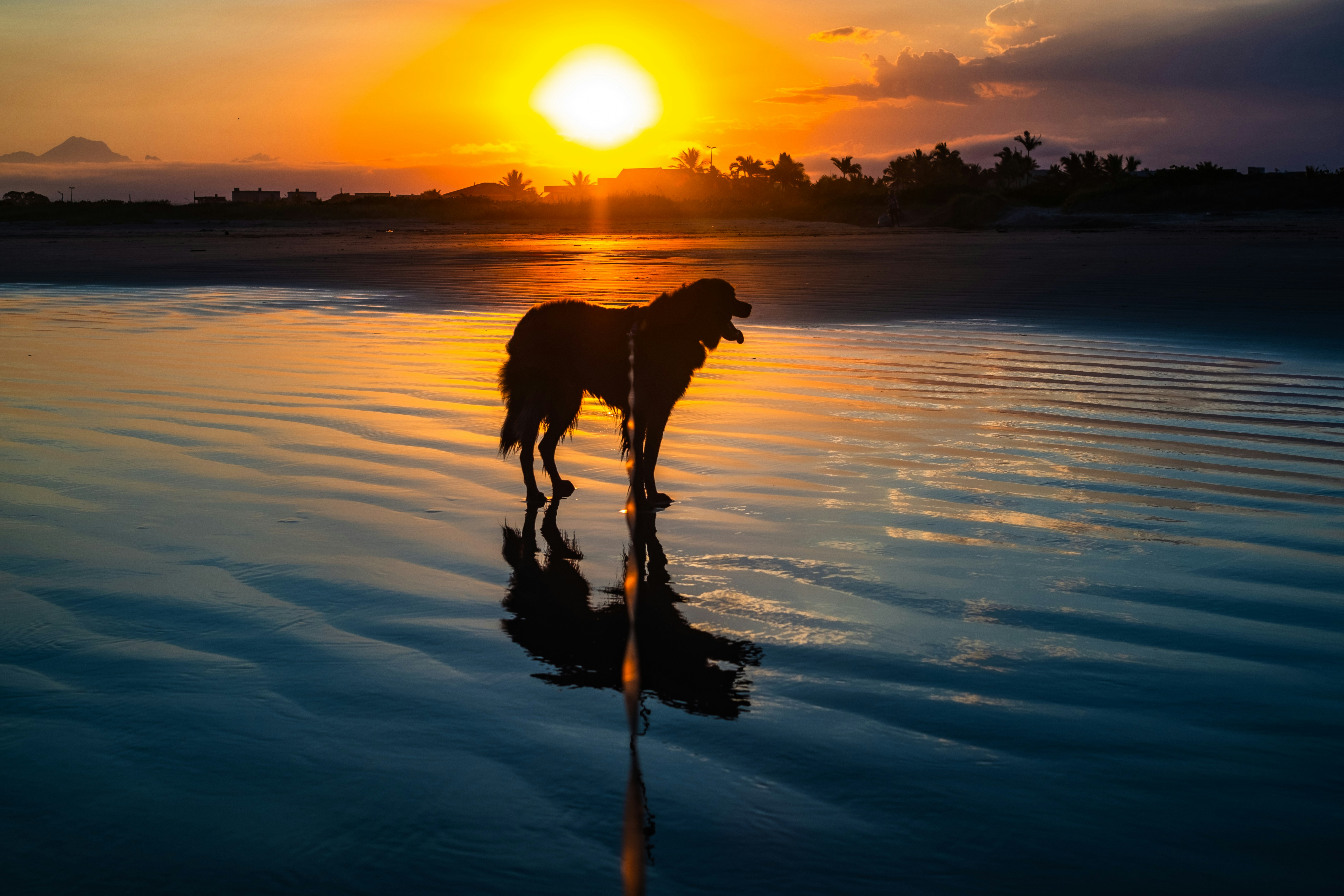High Tide Portrait at Sunset