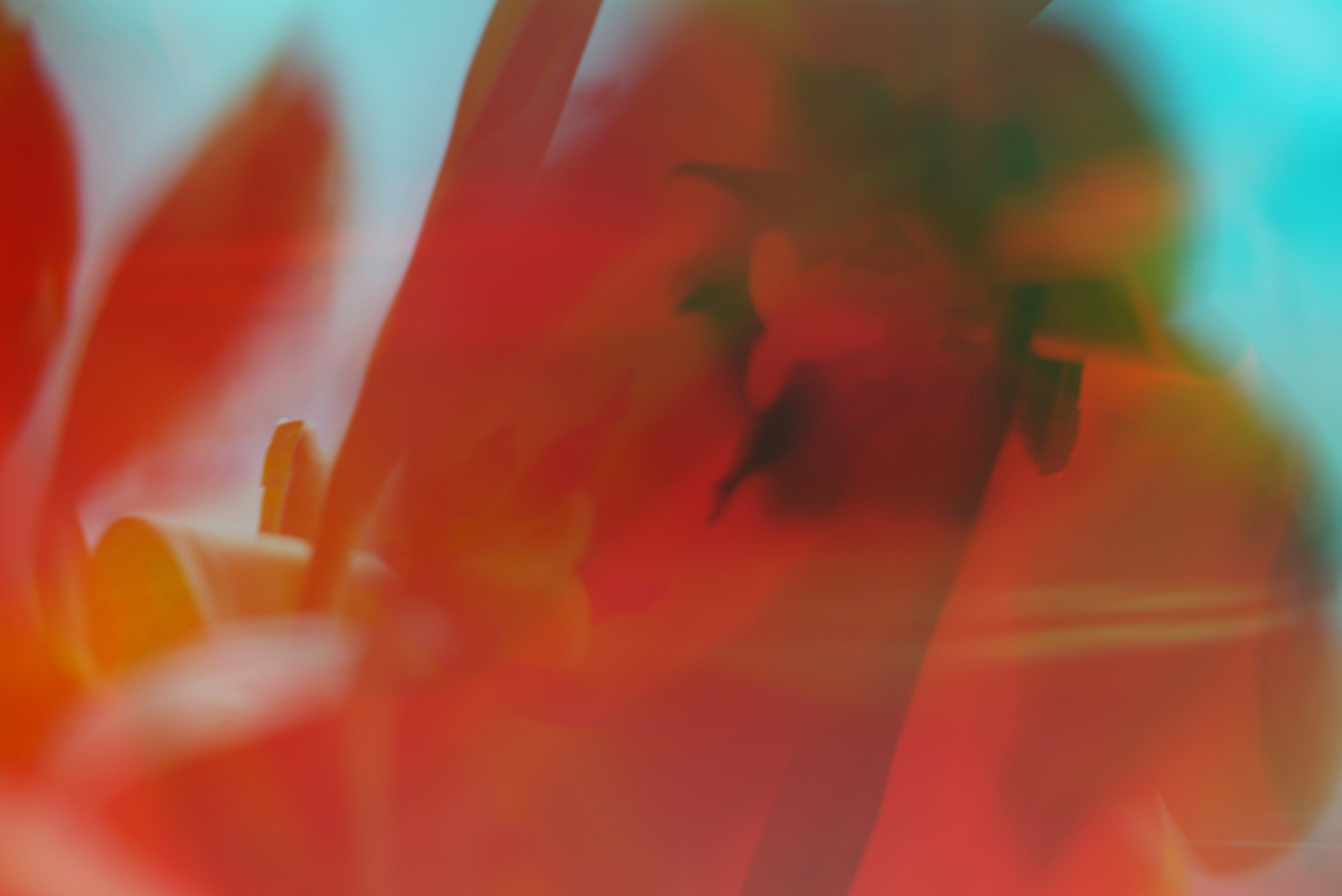 Abstract Warmth: A Blur of Colorful Currents