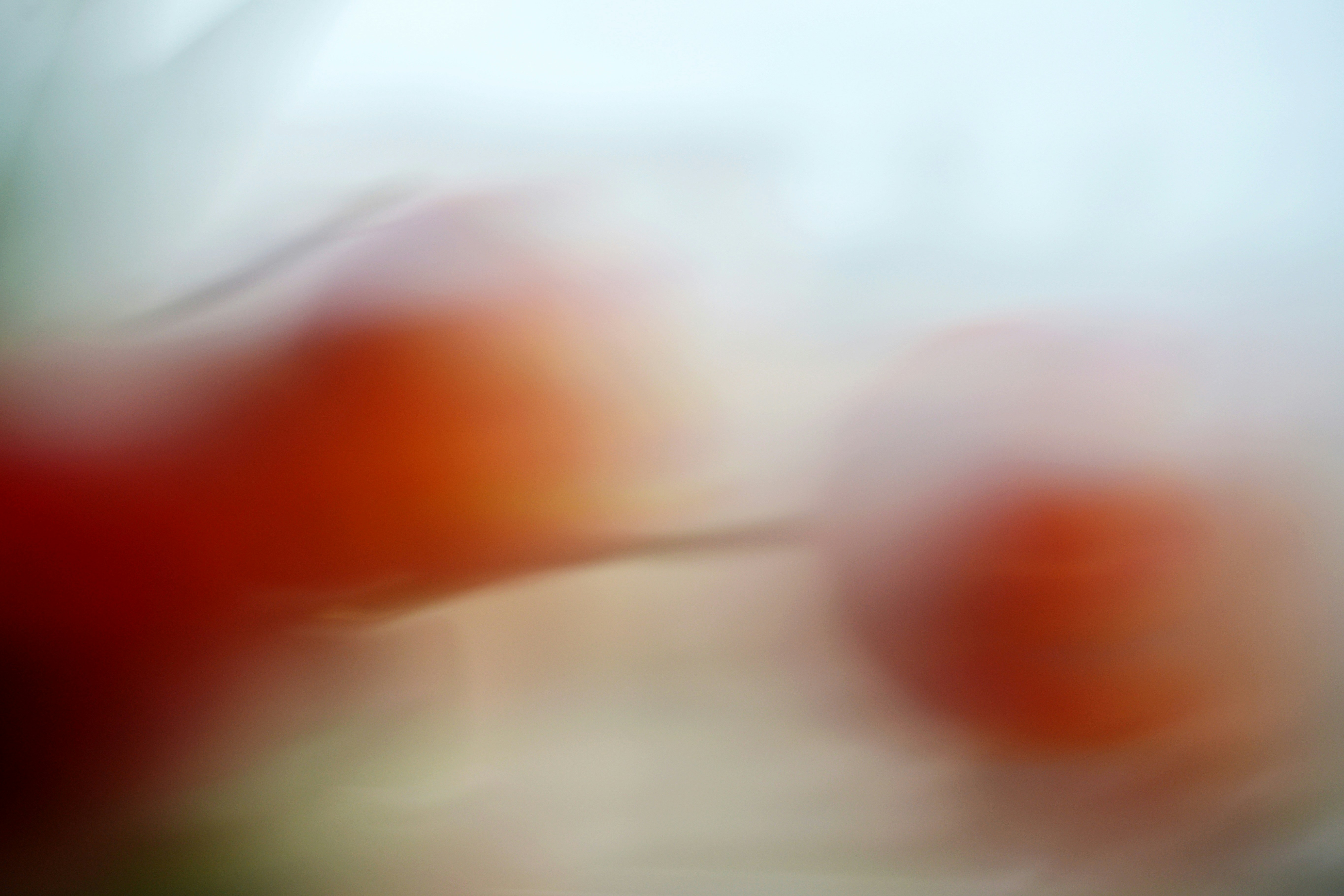 Blurred Harvest: A Softly Painted Red-orange Wake