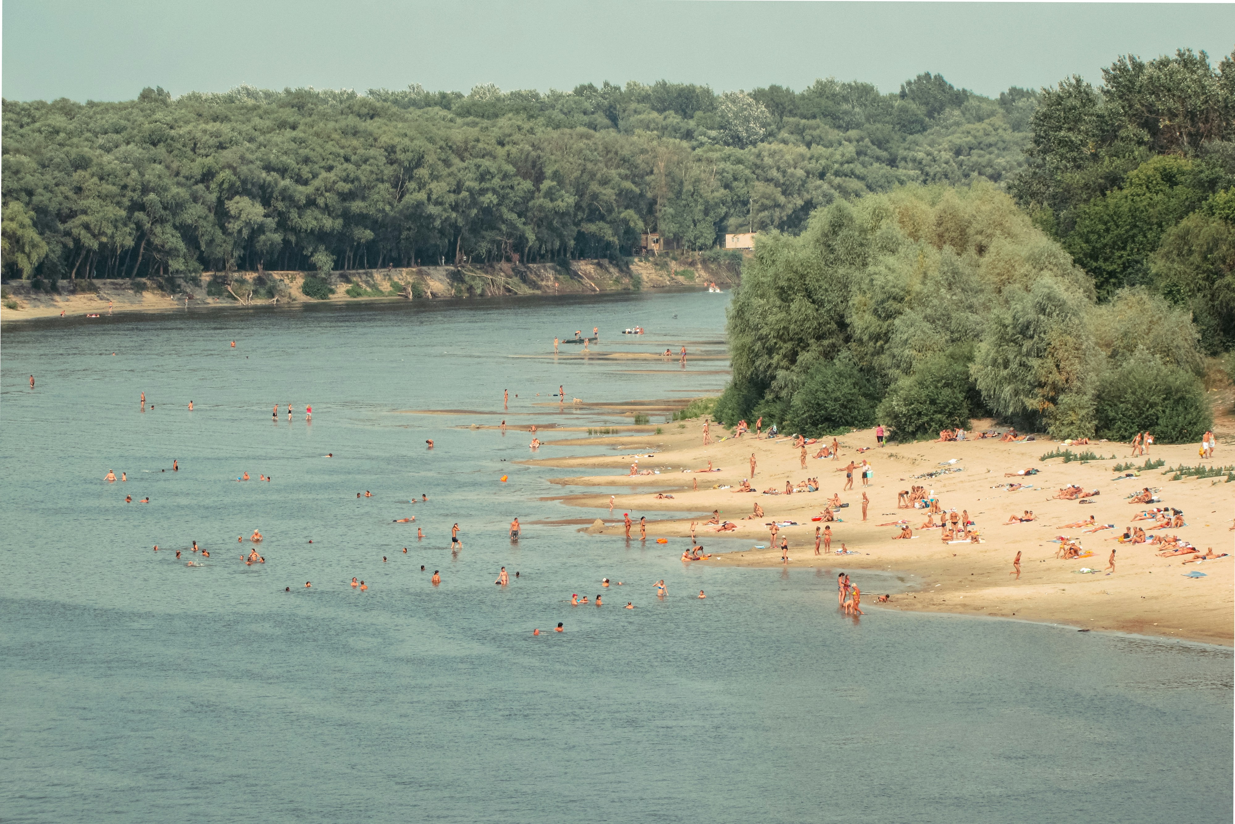 Riverbank Retreat: A Sunlit Beach Sheen by the Trees