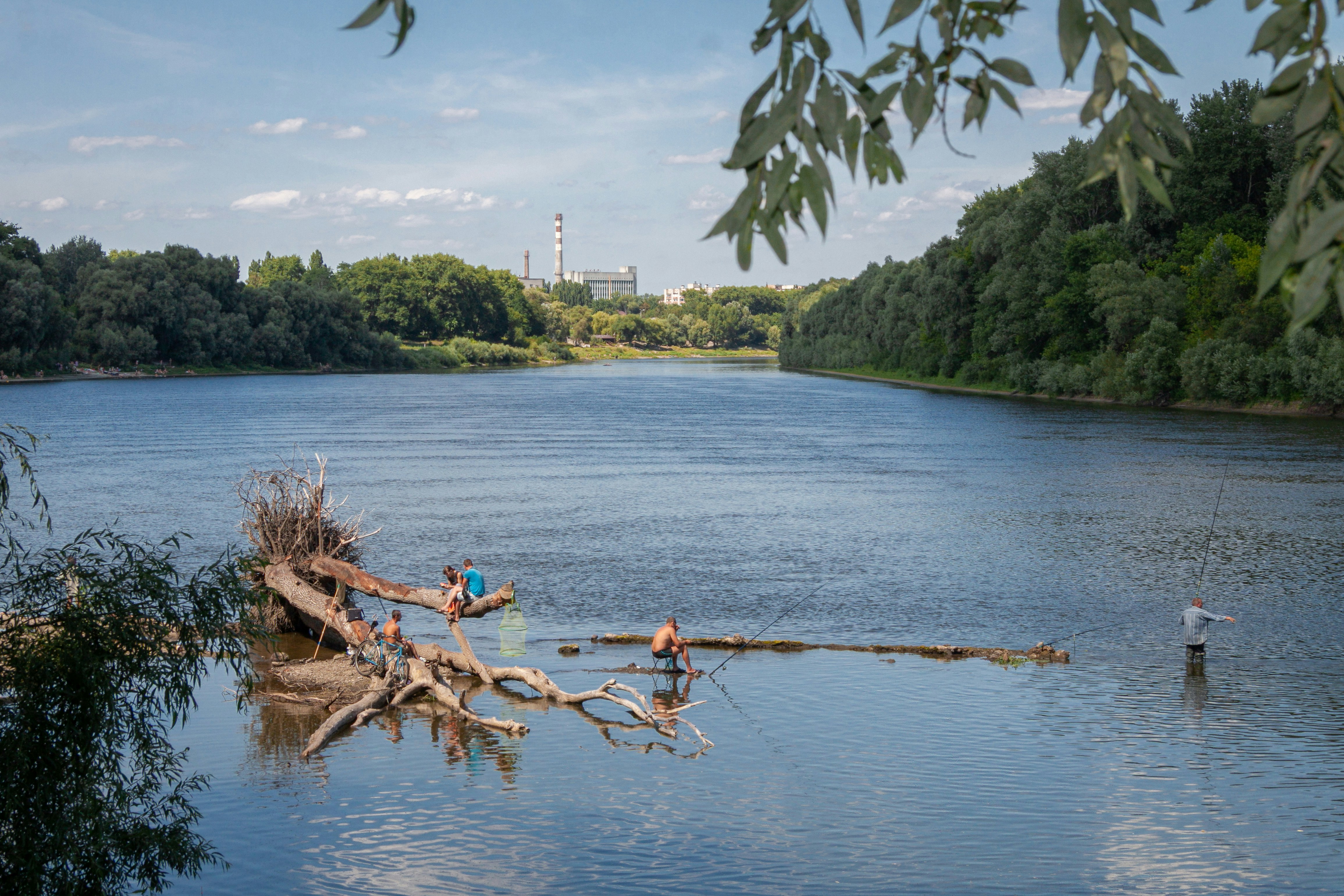 Riverbank Respite: A Teal Sky Over Fallen Drift