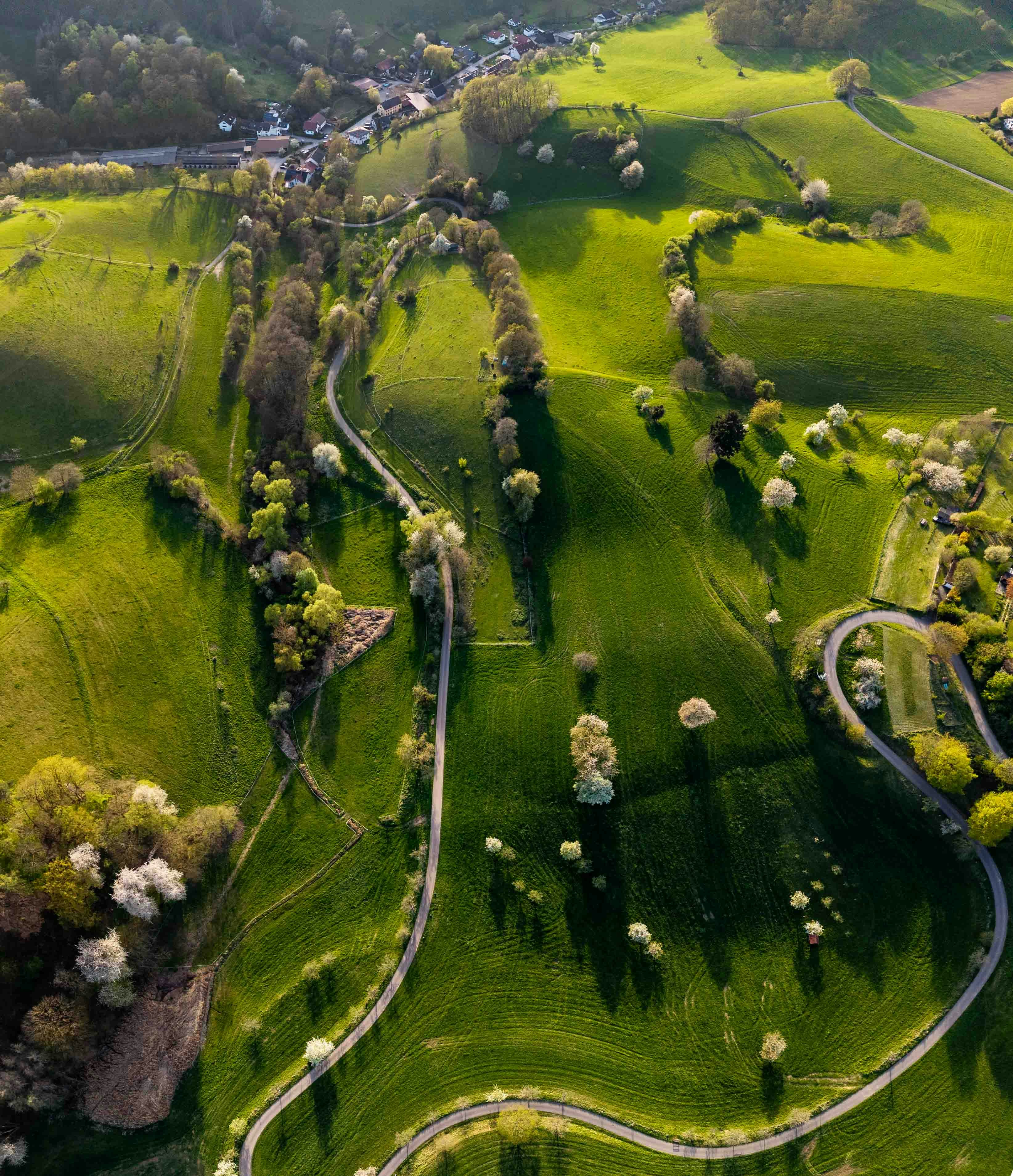 Verdant Switchbacks: Aerial Tapestry of Hillside Fields