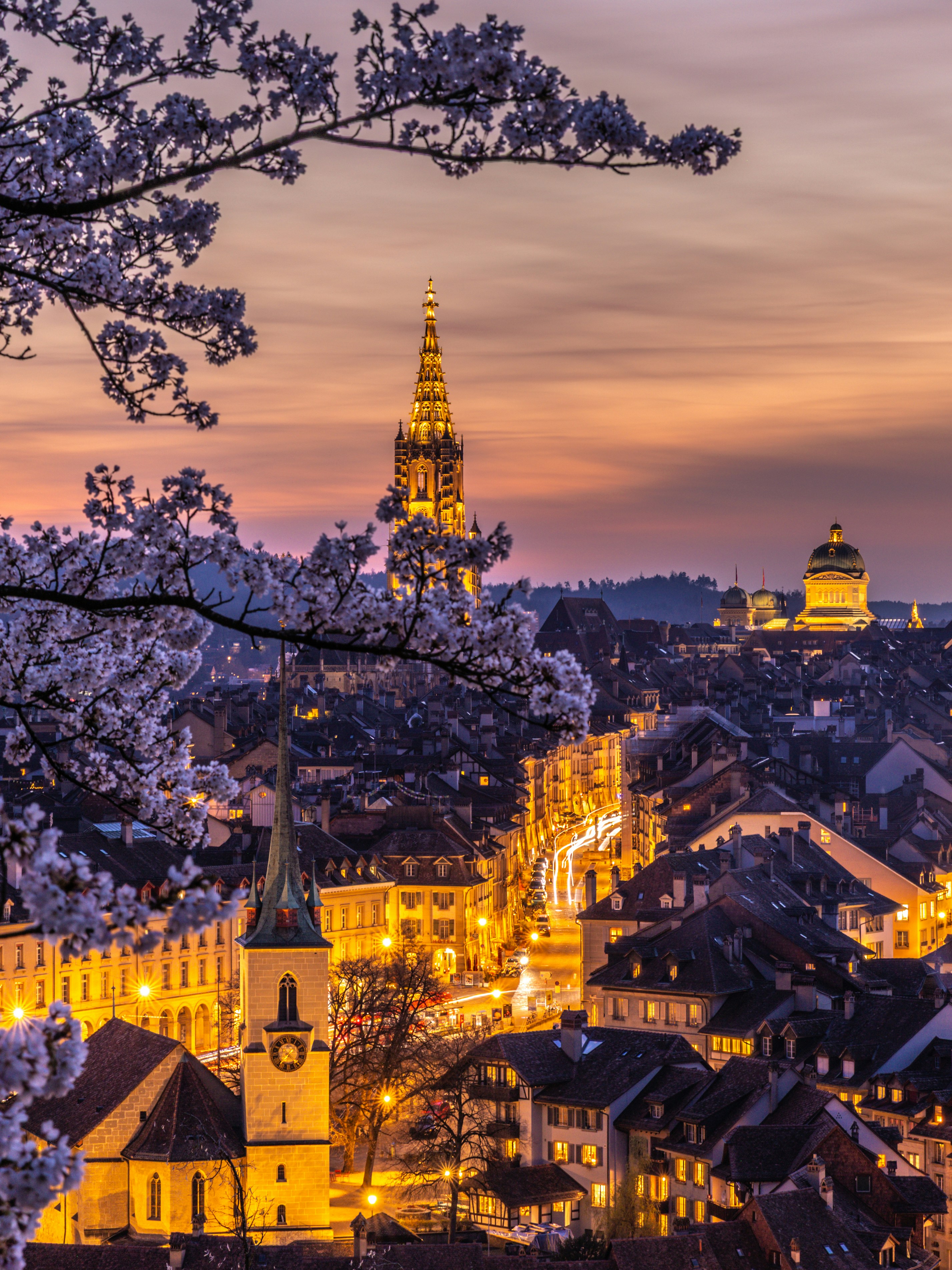 Golden Hour Over Würzburg: A Luminous Cityscape Framed by Blossoms