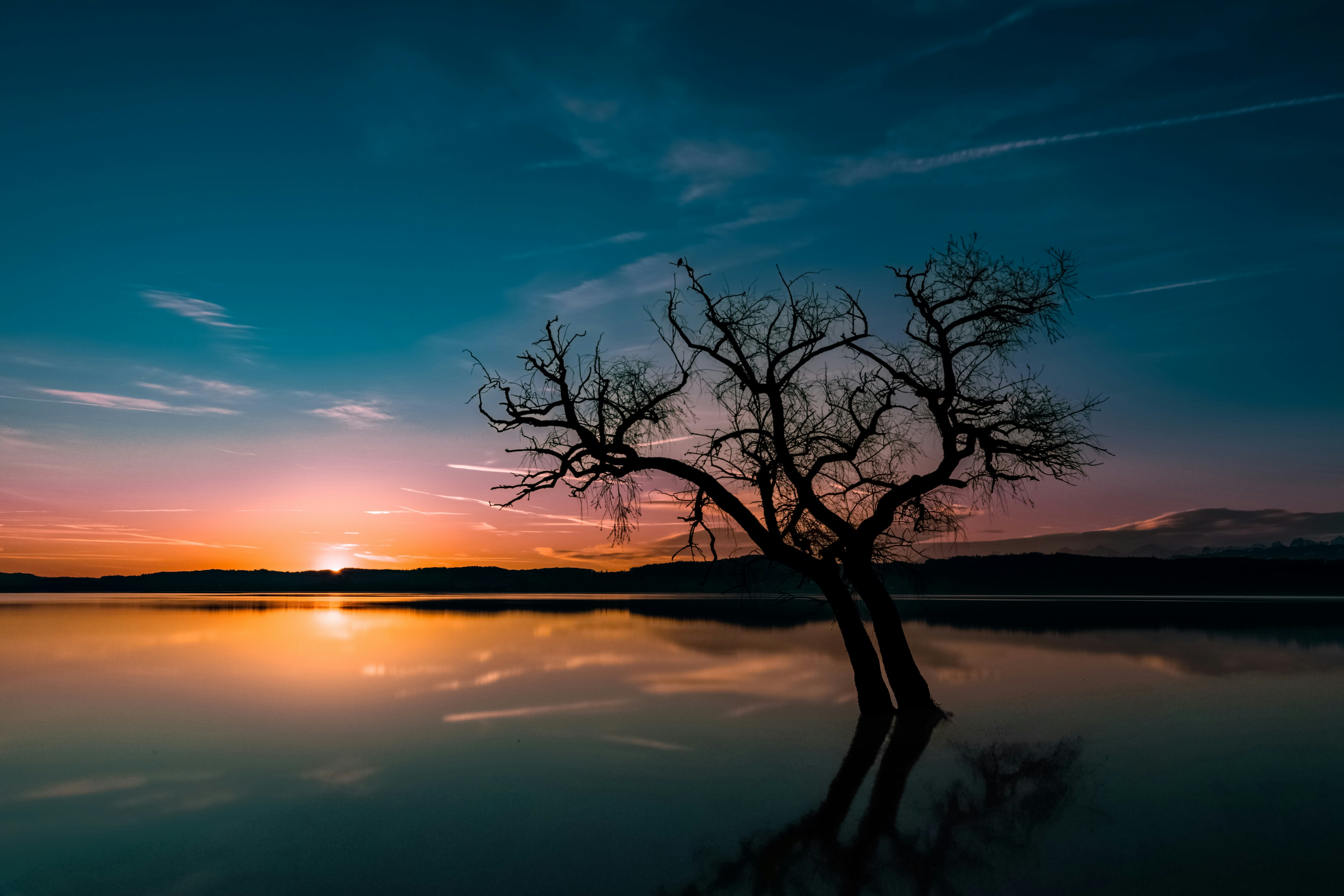 Sunset Silence: The Lone Tree by the Quiet Lake
