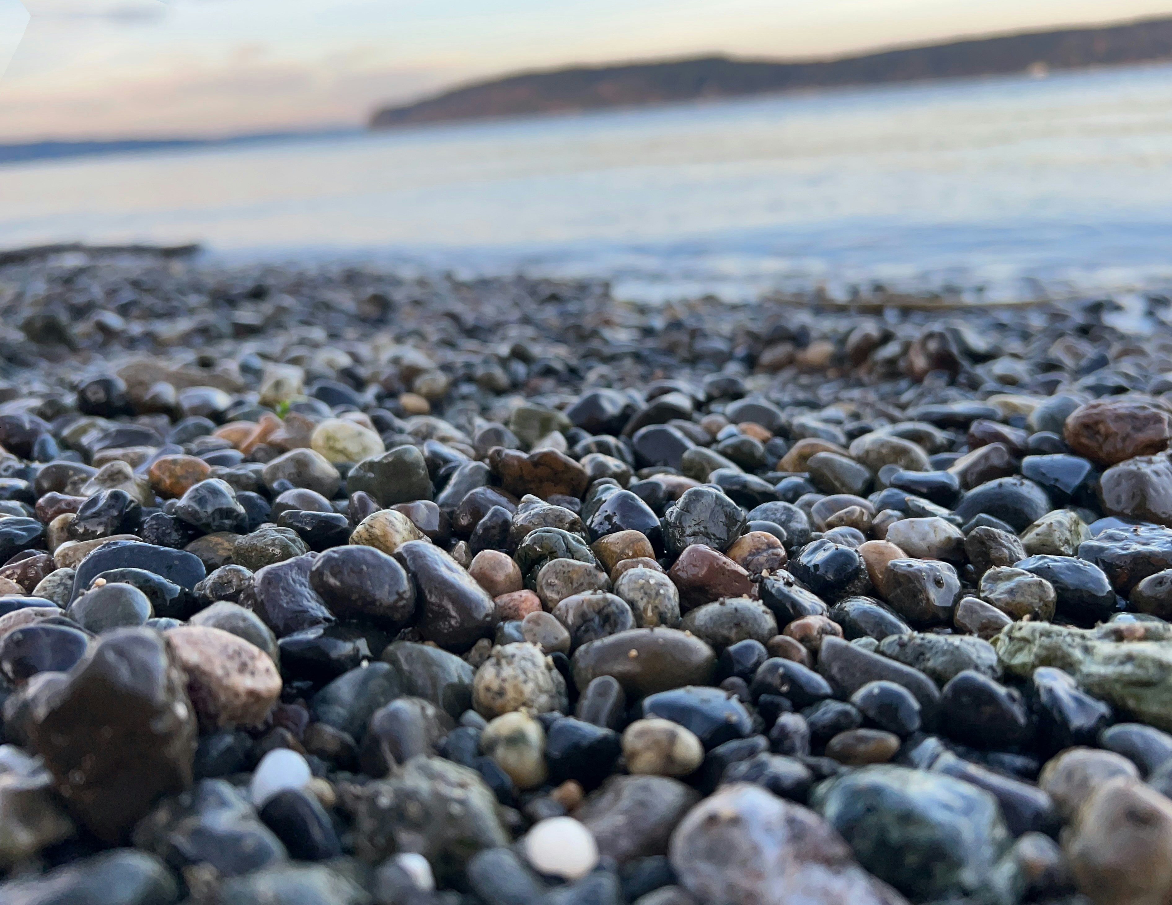 Pebble mosaic by the shoreline: a close-up of smooth stones meeting the calm sea