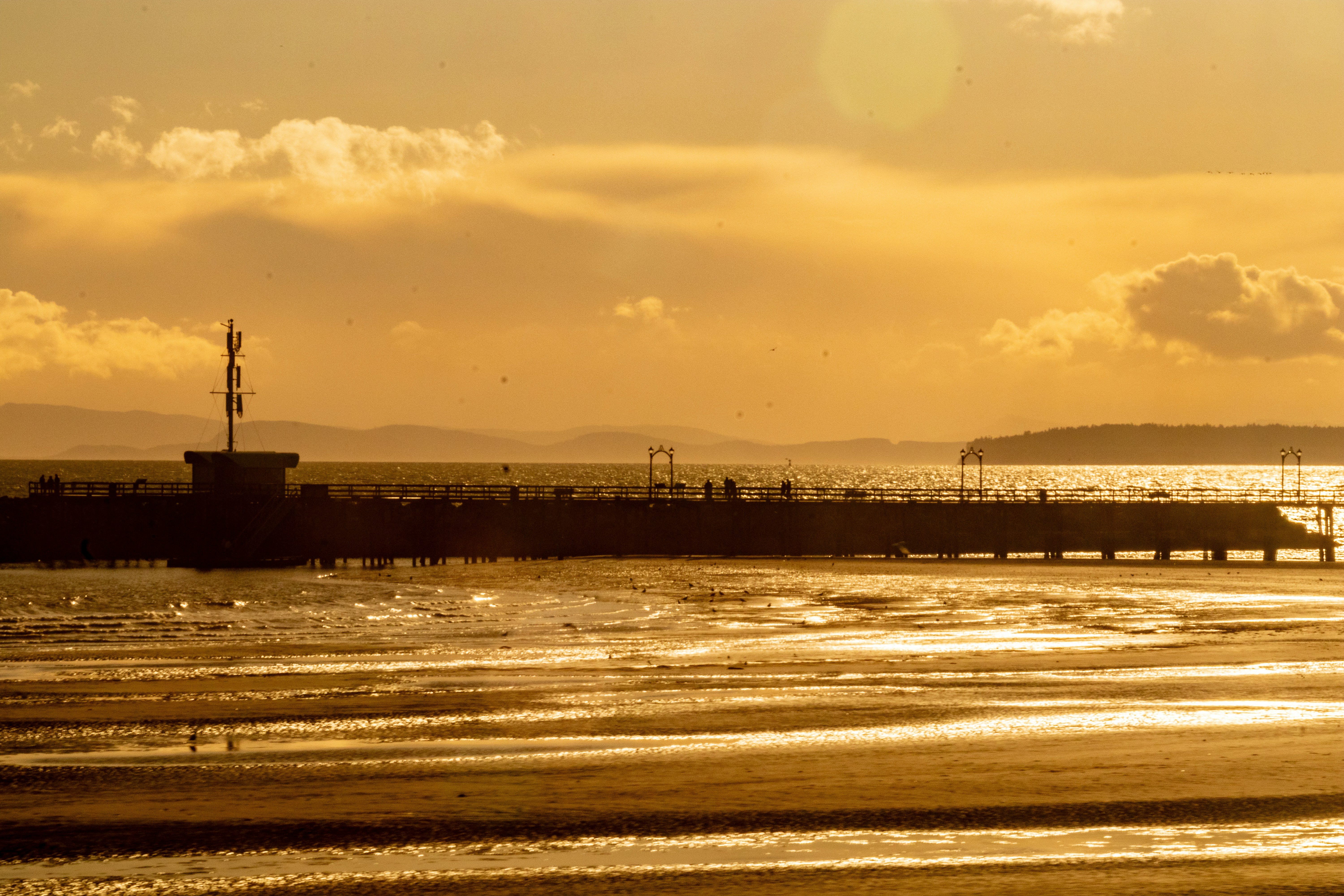 A pier and beach at sunset with golden light.
