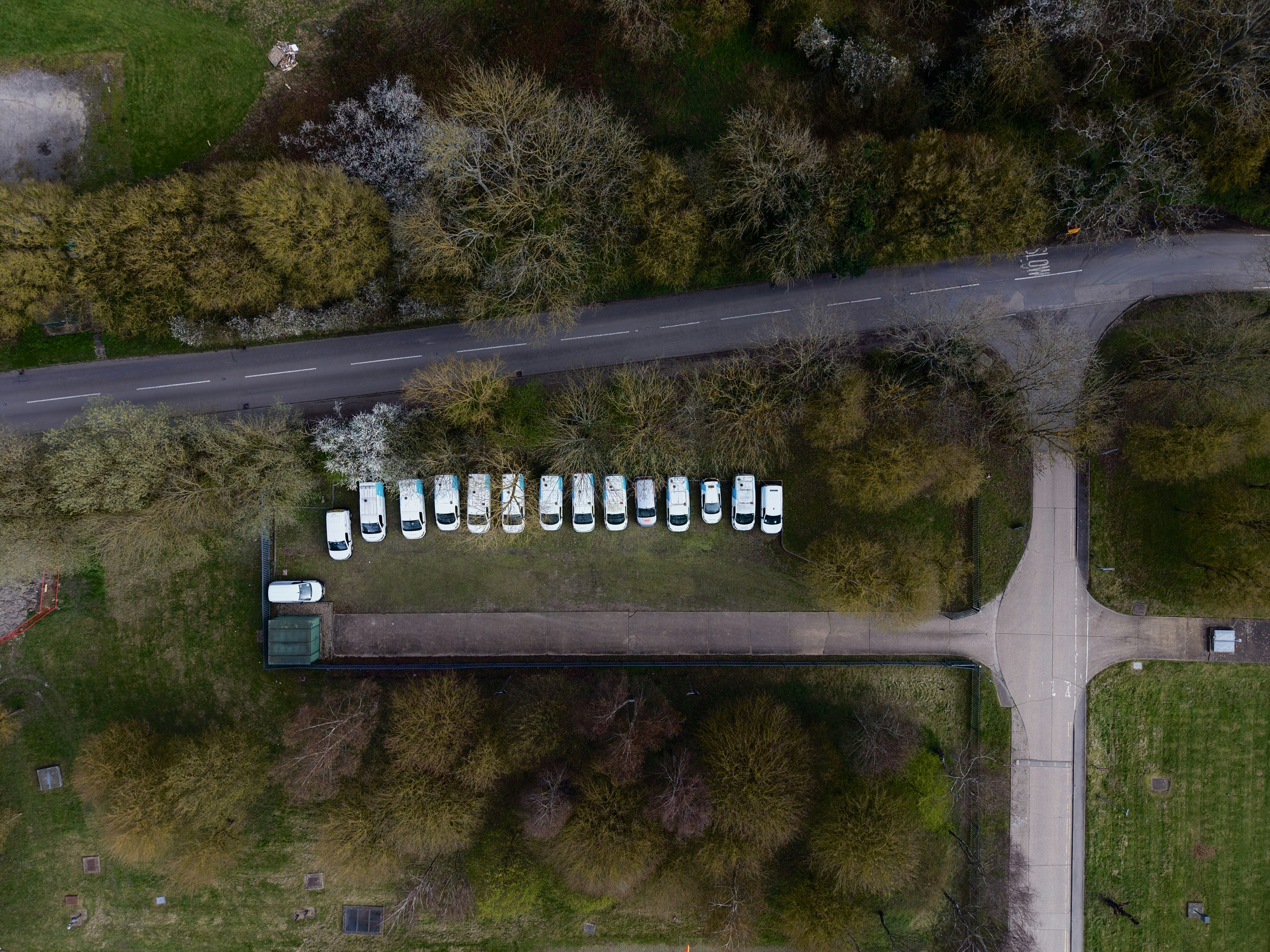 Aerial Quiet: A Tree-Lined Parking Mosaic from Above