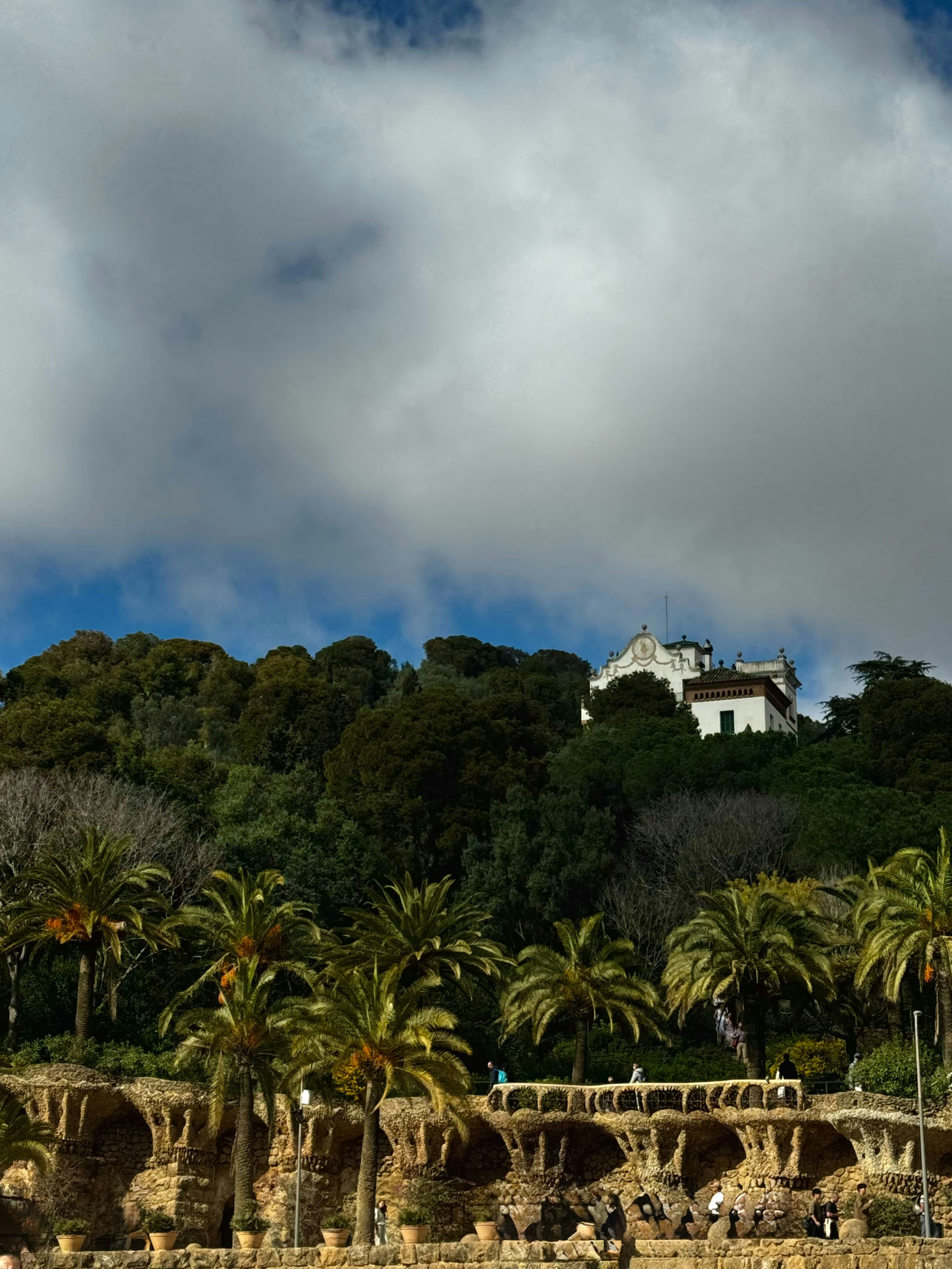 Villa on the Hill Above a Palm-Fringed Cove