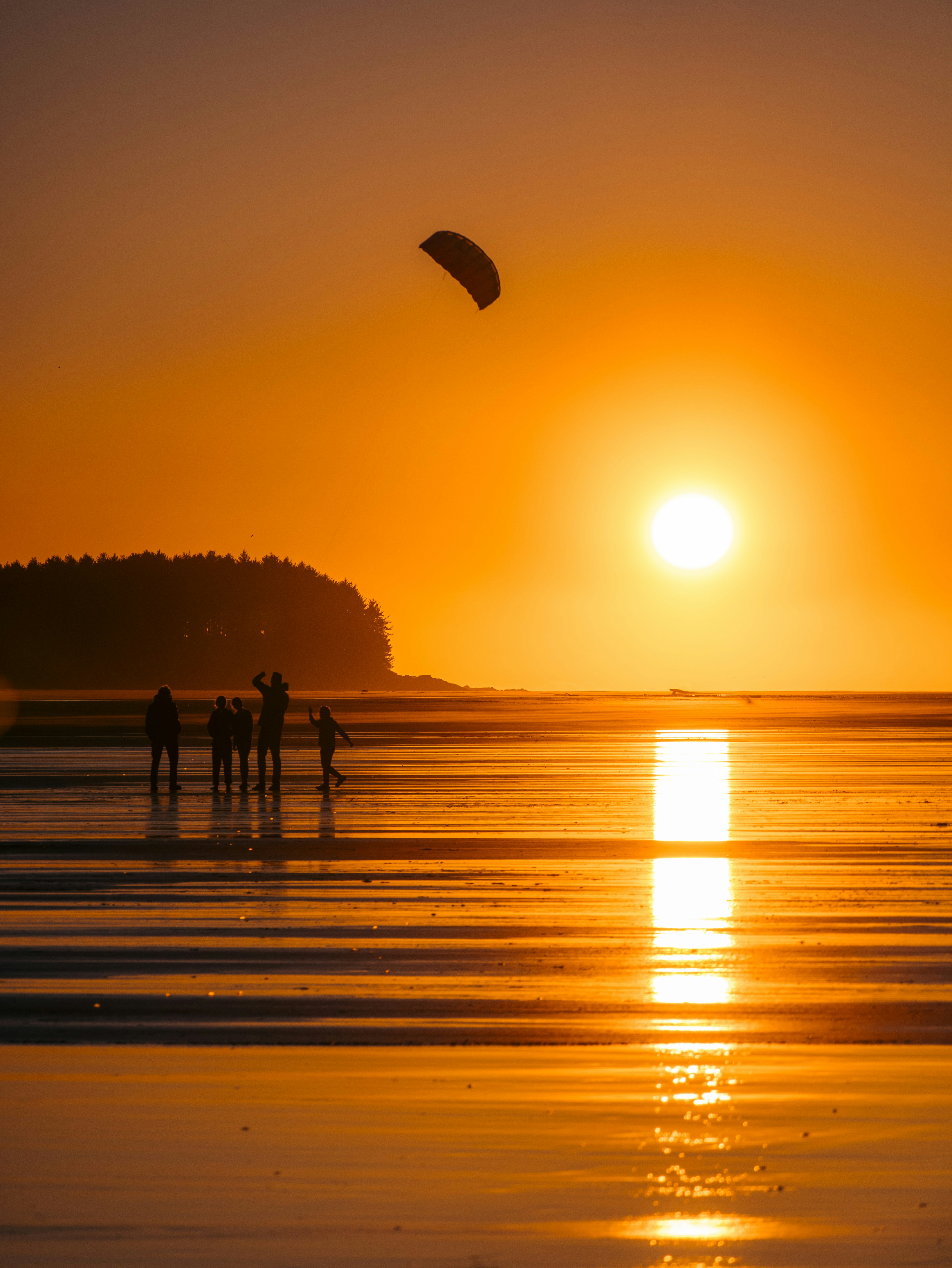Sunlit Beachfall: A Paraglider Over a Golden Horizon