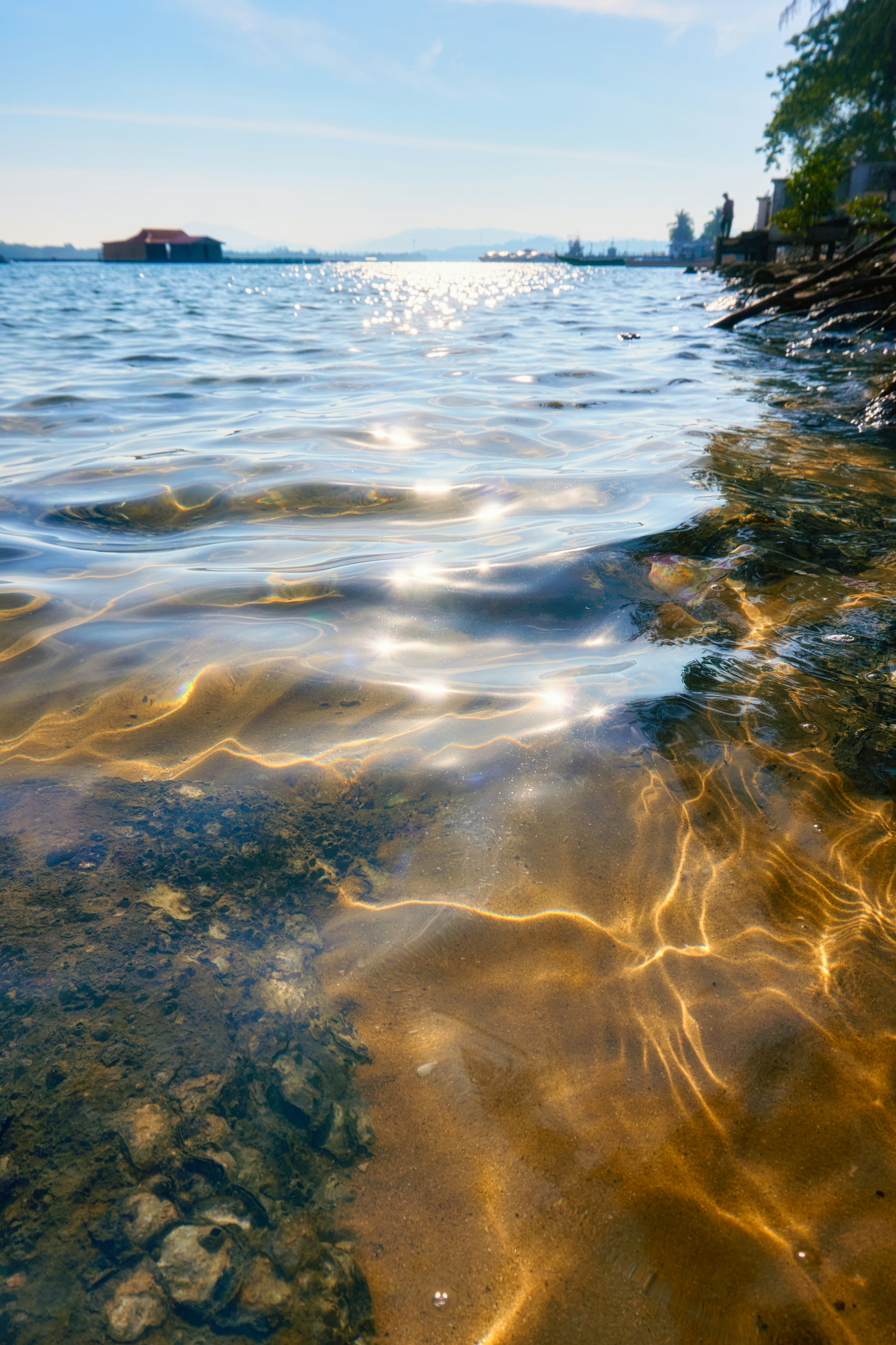 Sunlit Ripples on a Quiet Lakefront