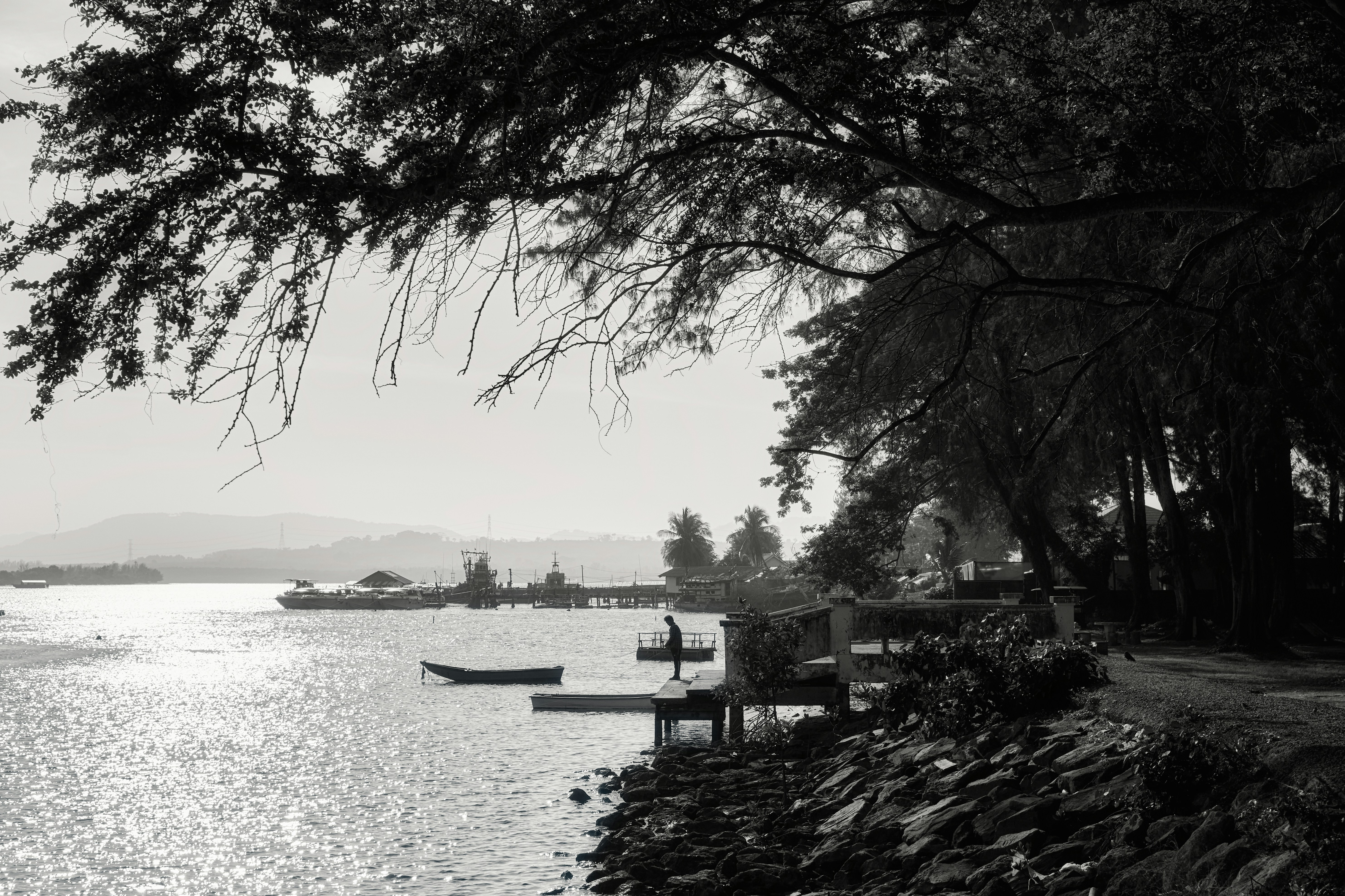 Quiet shoreline: boats at rest beneath overhanging branches