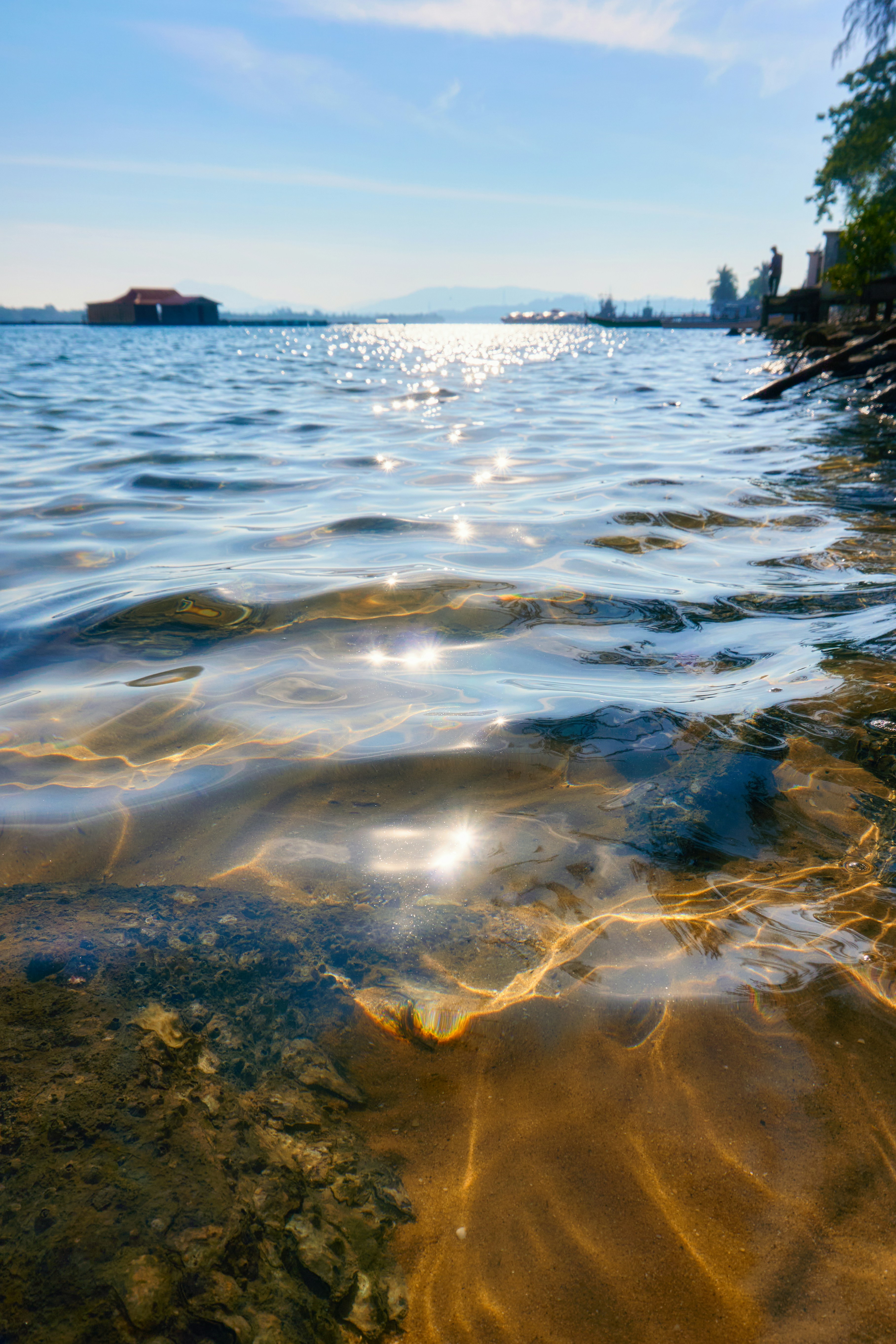 Sunlit Ripples: gleaming shoreline under a clear summer glow