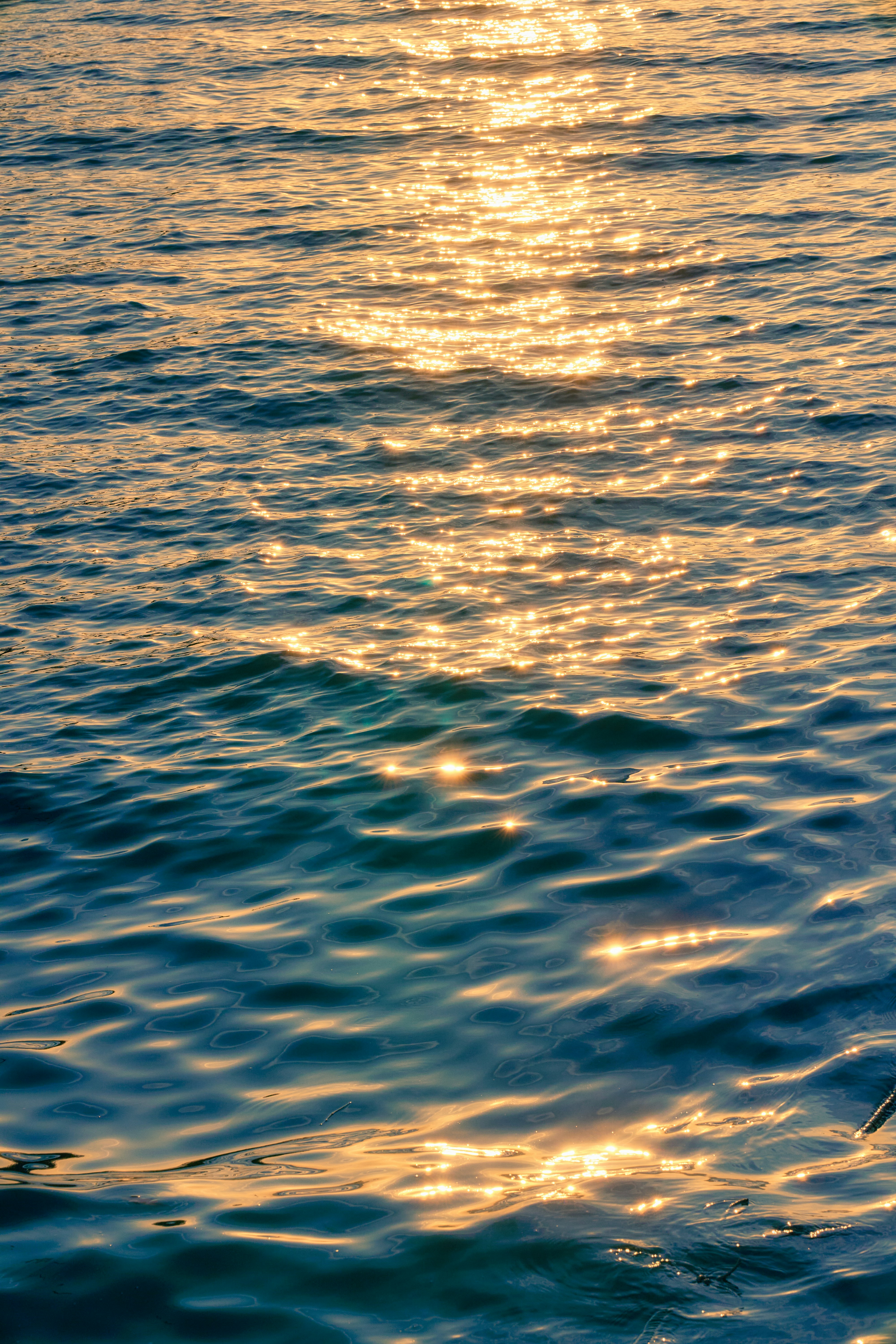 Golden Ripples: Sunlit Waves on a Quiet Sea