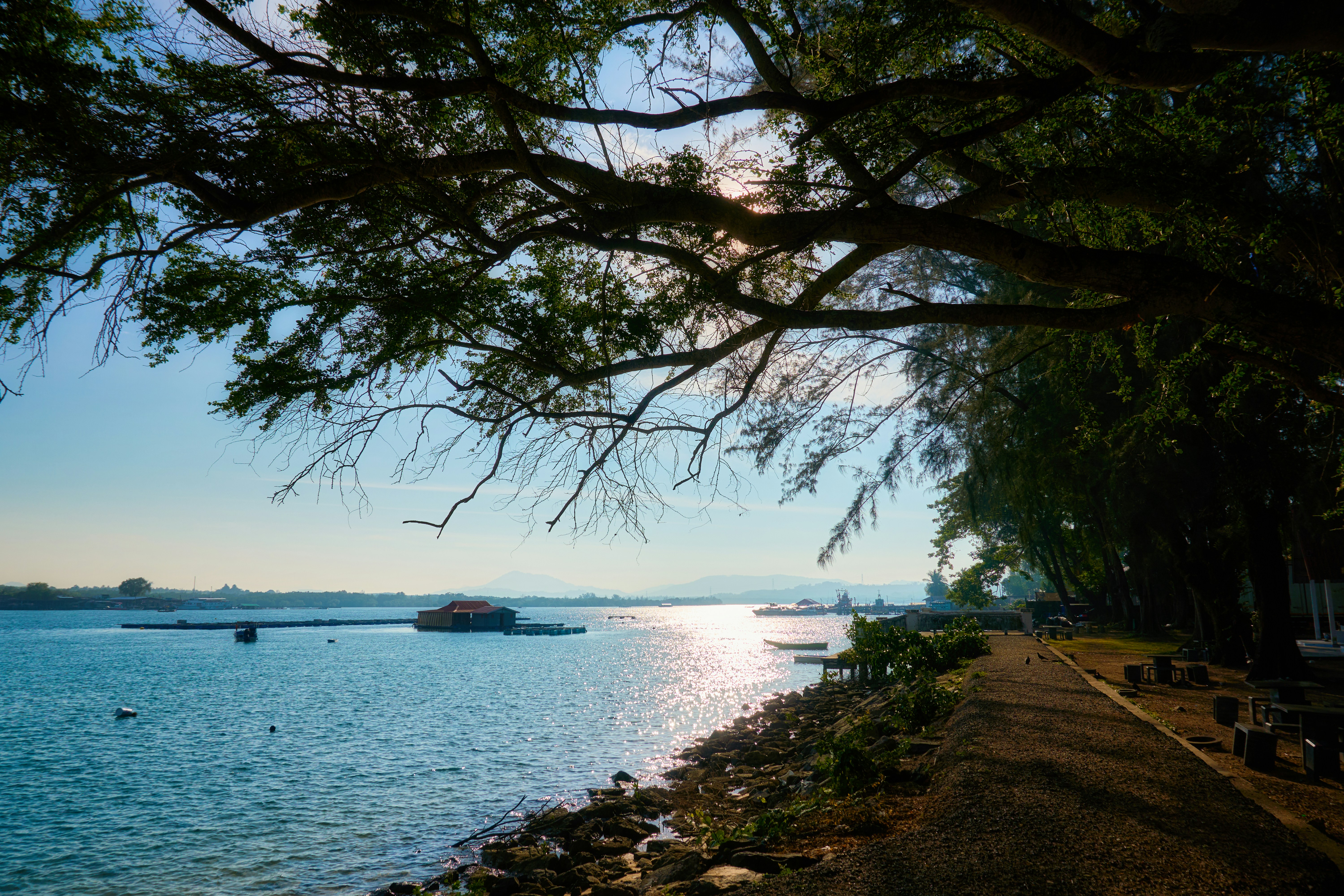 Sunlit quayside beneath a sweeping canopy