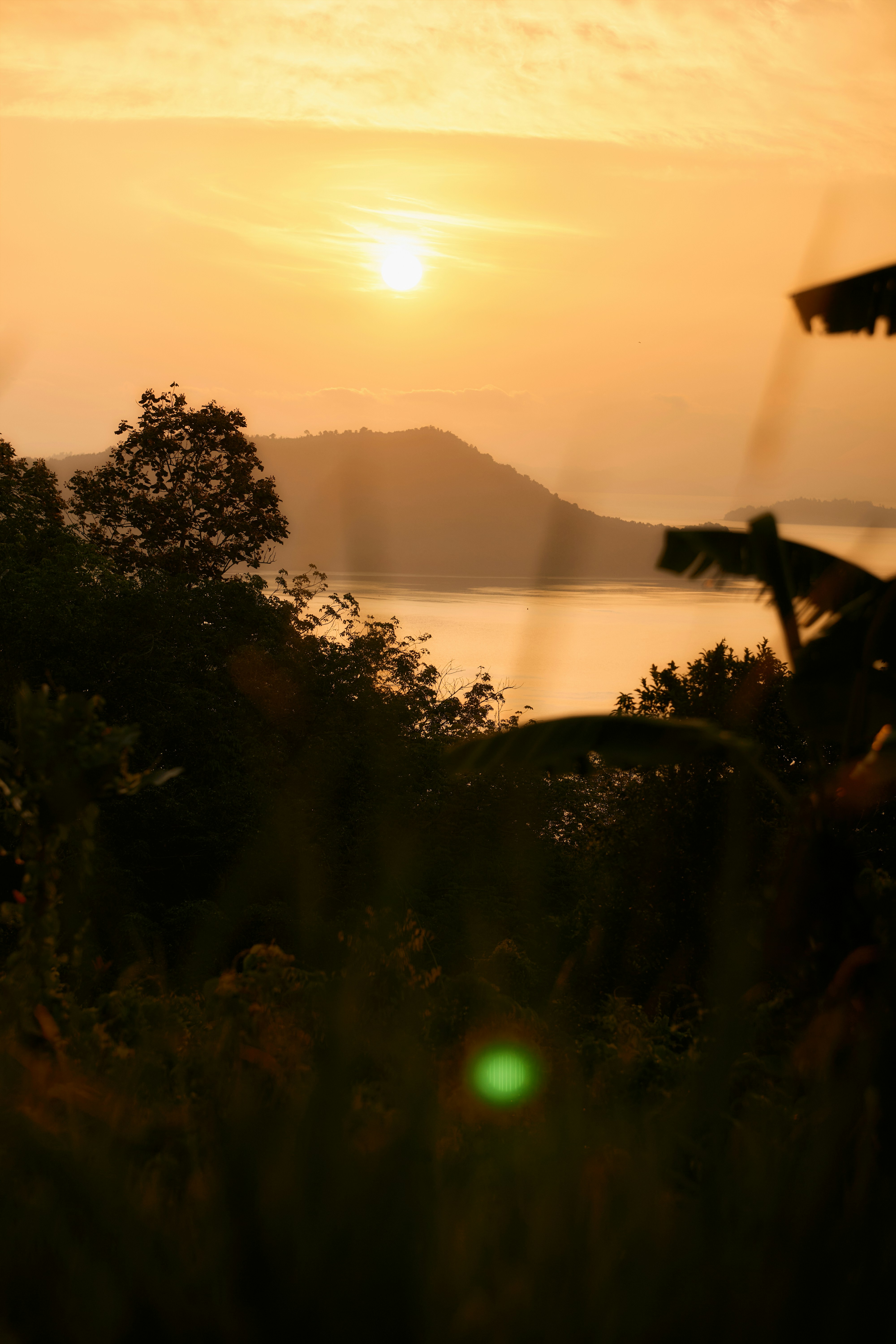 Golden Horizon: Sunset Over Silent Hills