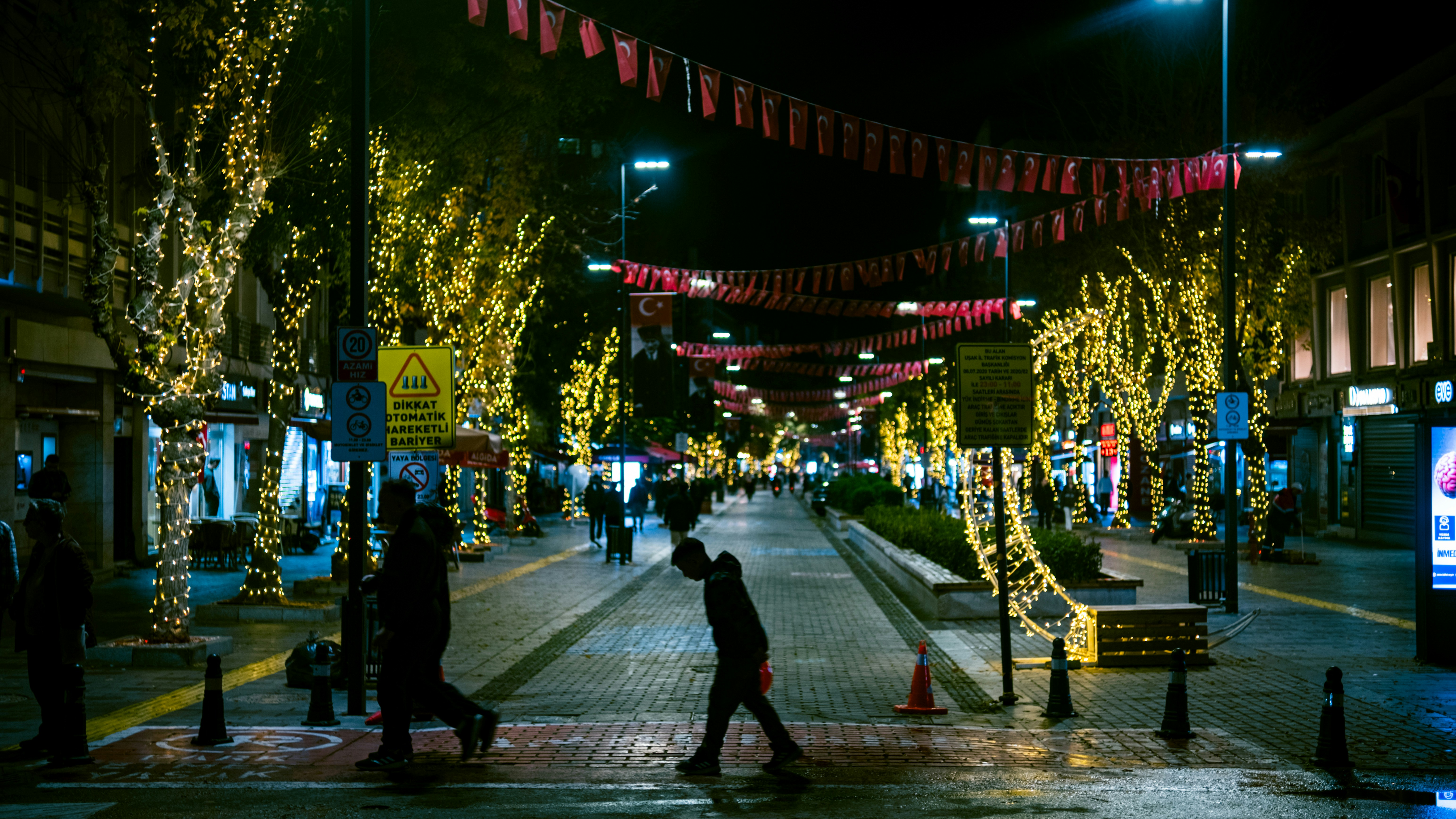 Luminous Street Corridor: Festooned Trees Guiding Night Walks