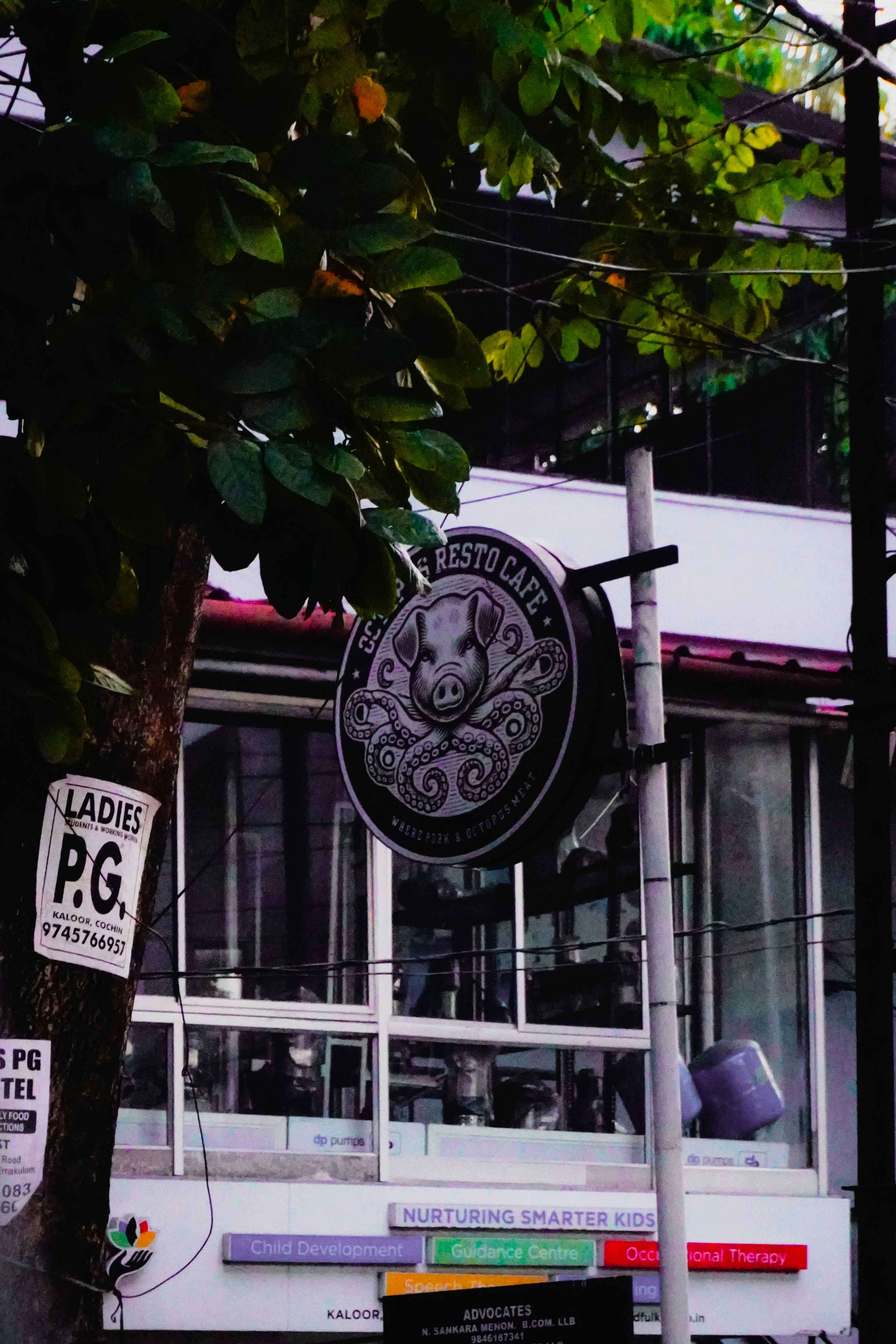 Octopus Café Sign Framed by Urban Foliage