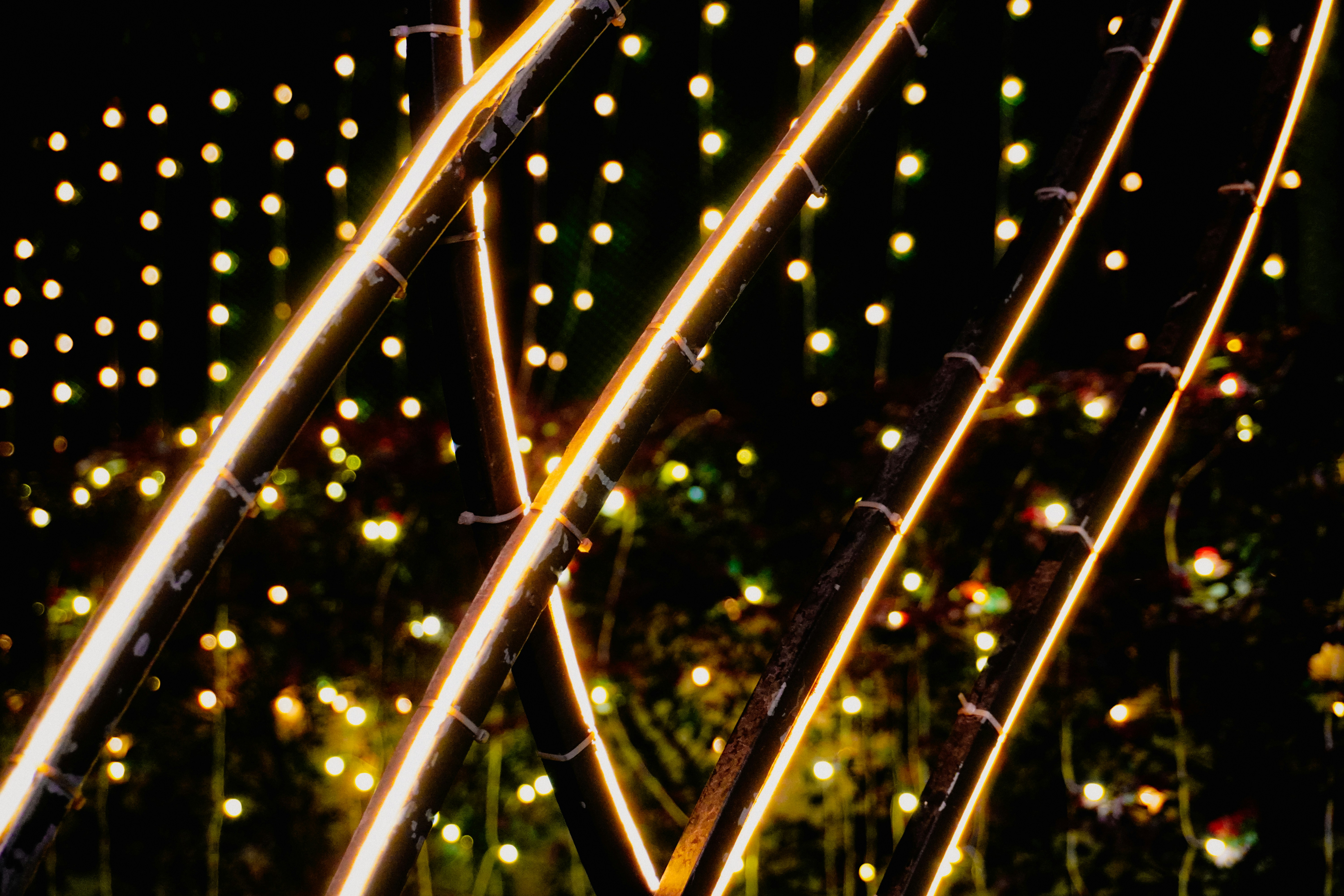 Arc of Light: Neon Curves Across a Night Garden