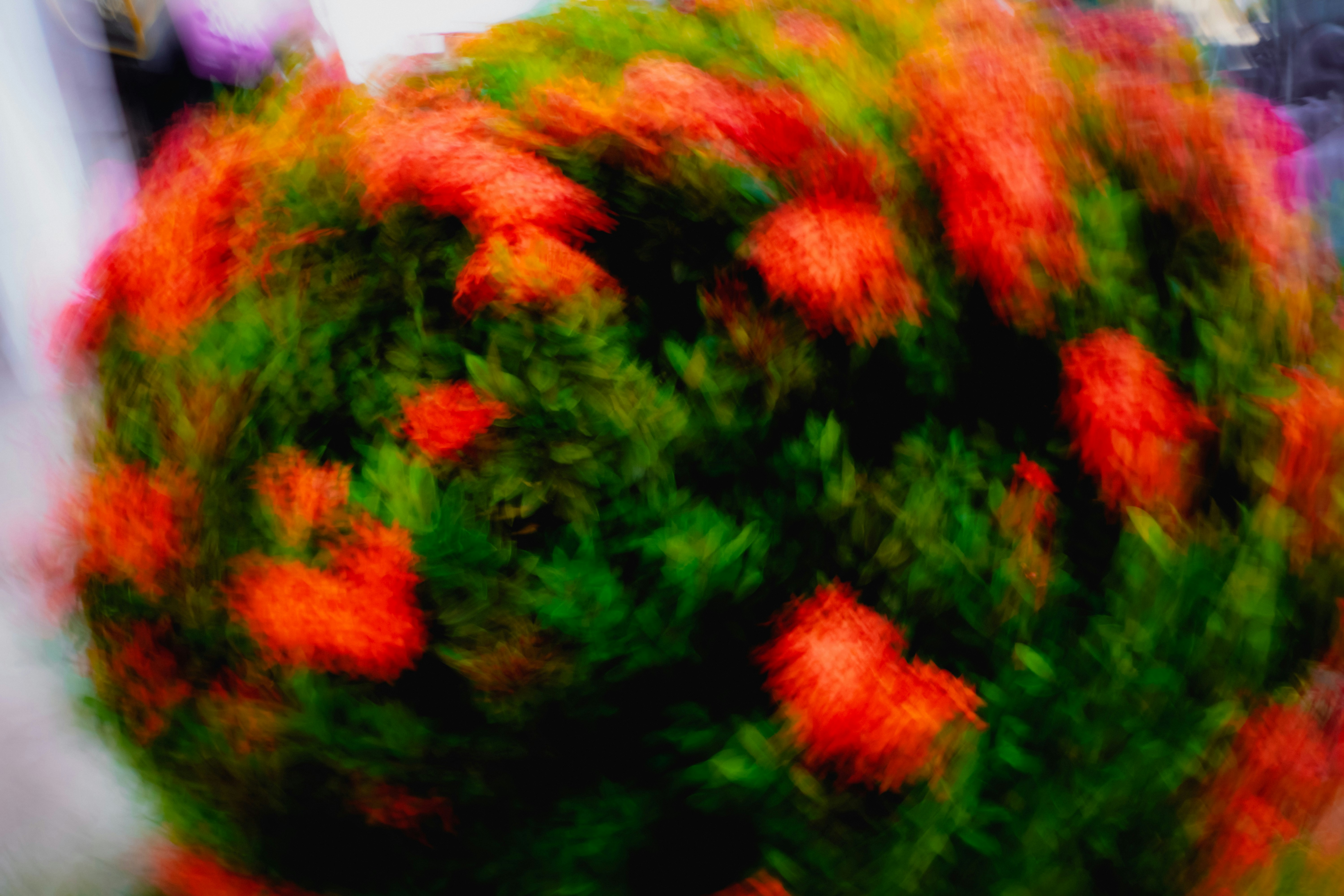 Blossoms in Motion: a Blur of Orange and Green