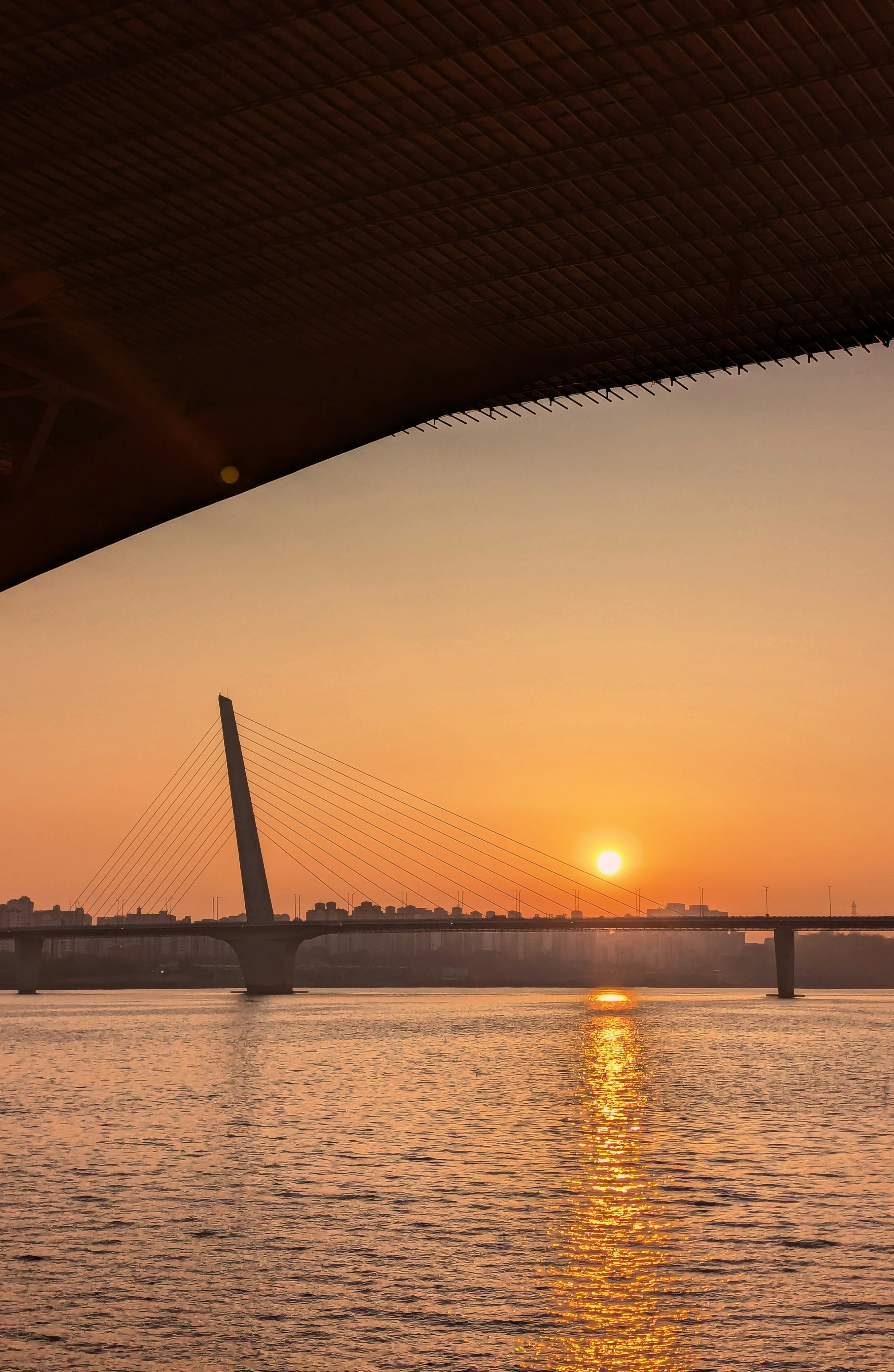 Sunset Over the Cable-Stayed Bridge Slicing the River