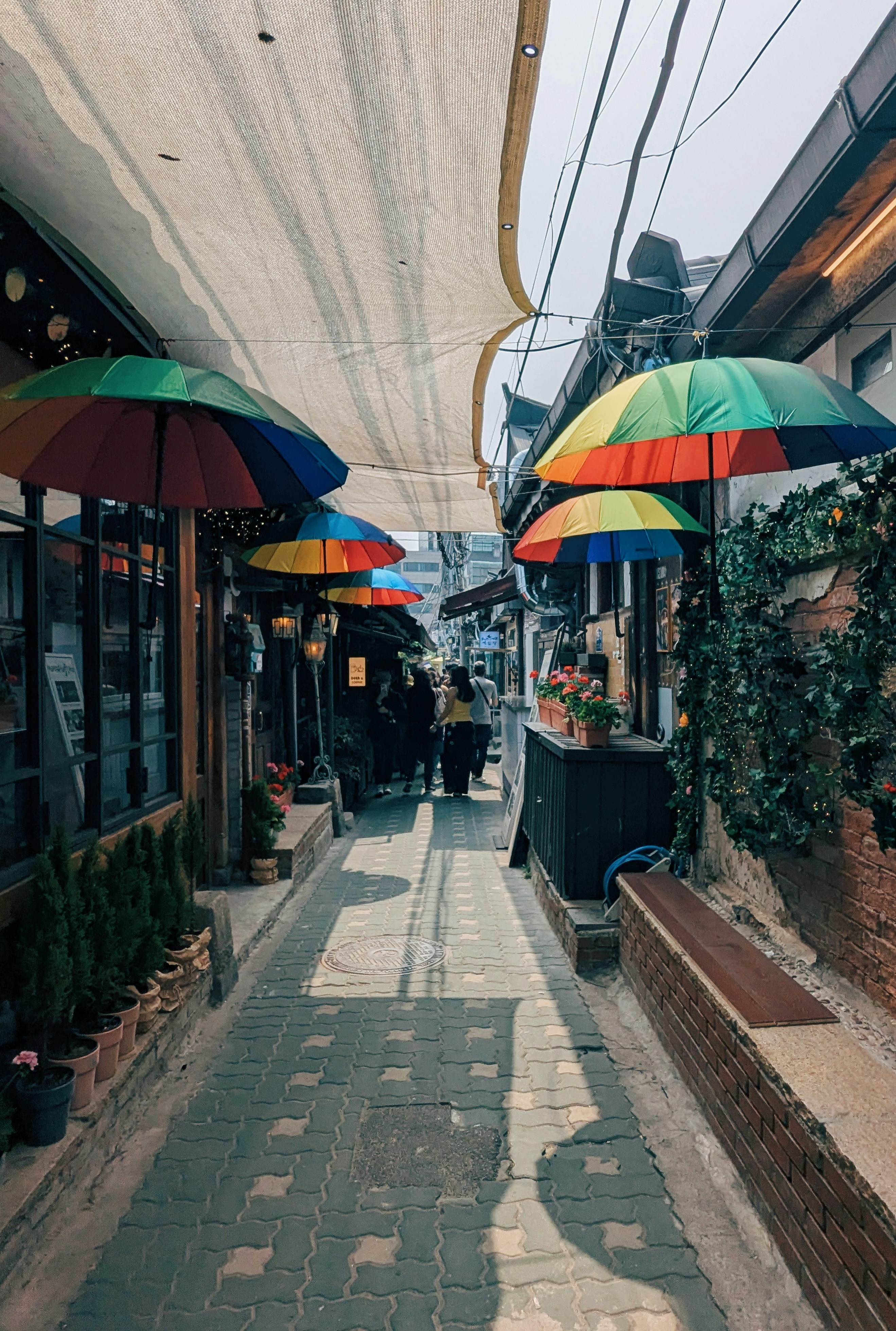 Colorful Alleyway Under Umbrella Canopy