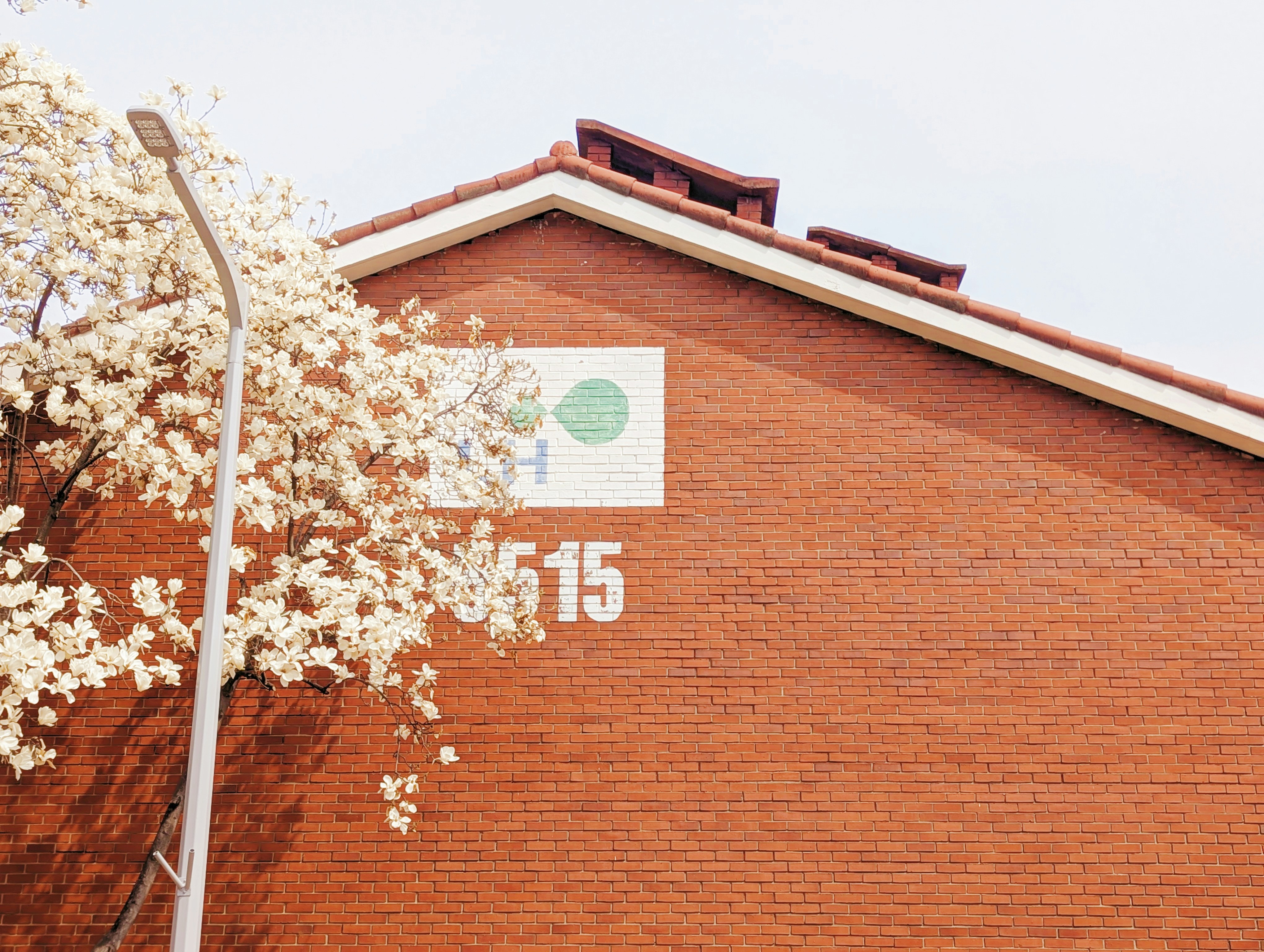 Crimson Brick Facade Beneath Blossoms and Pale Sky
