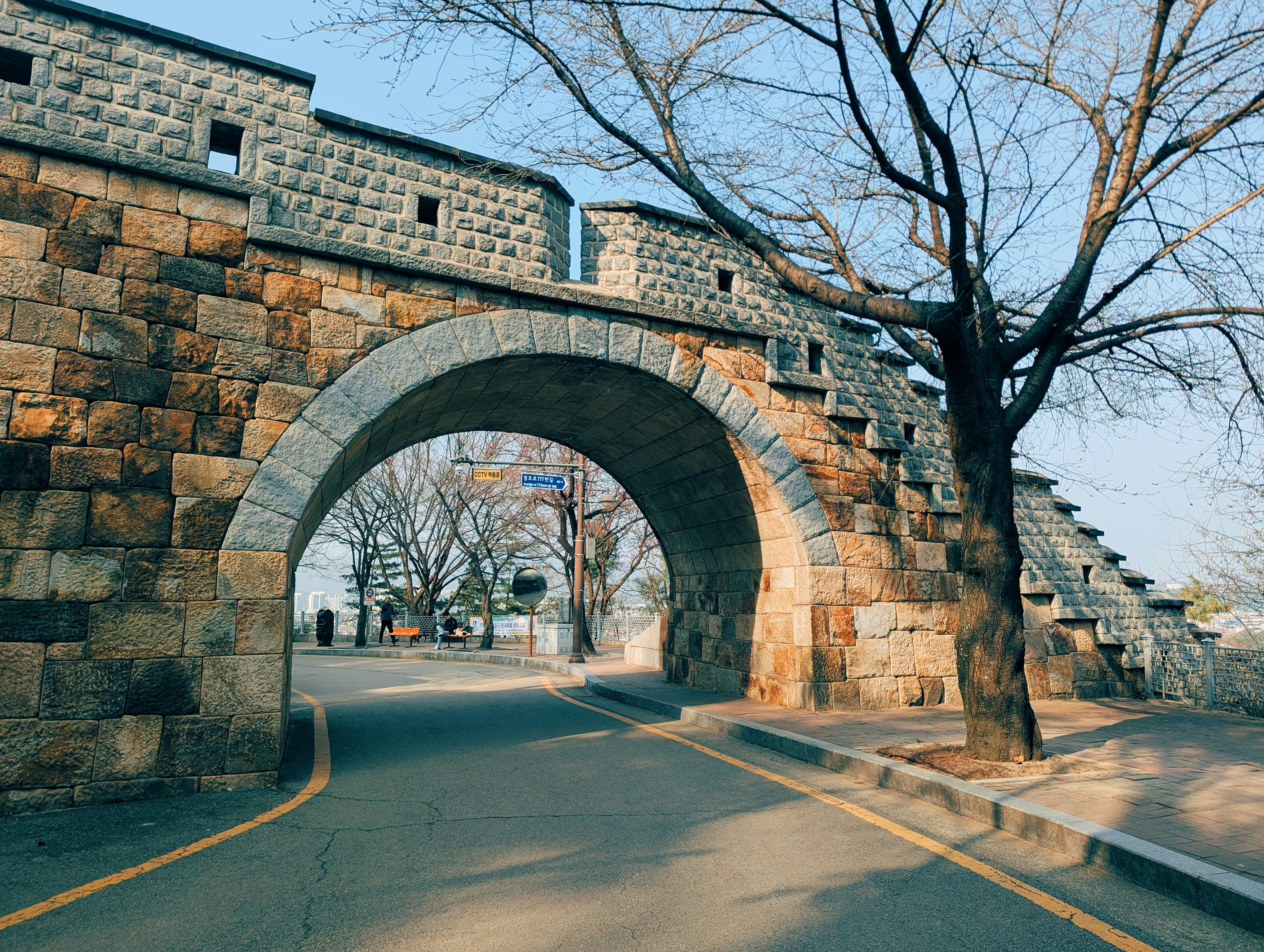 Stone Arch Underpass framed by a leafless tree beneath a sunlit sky