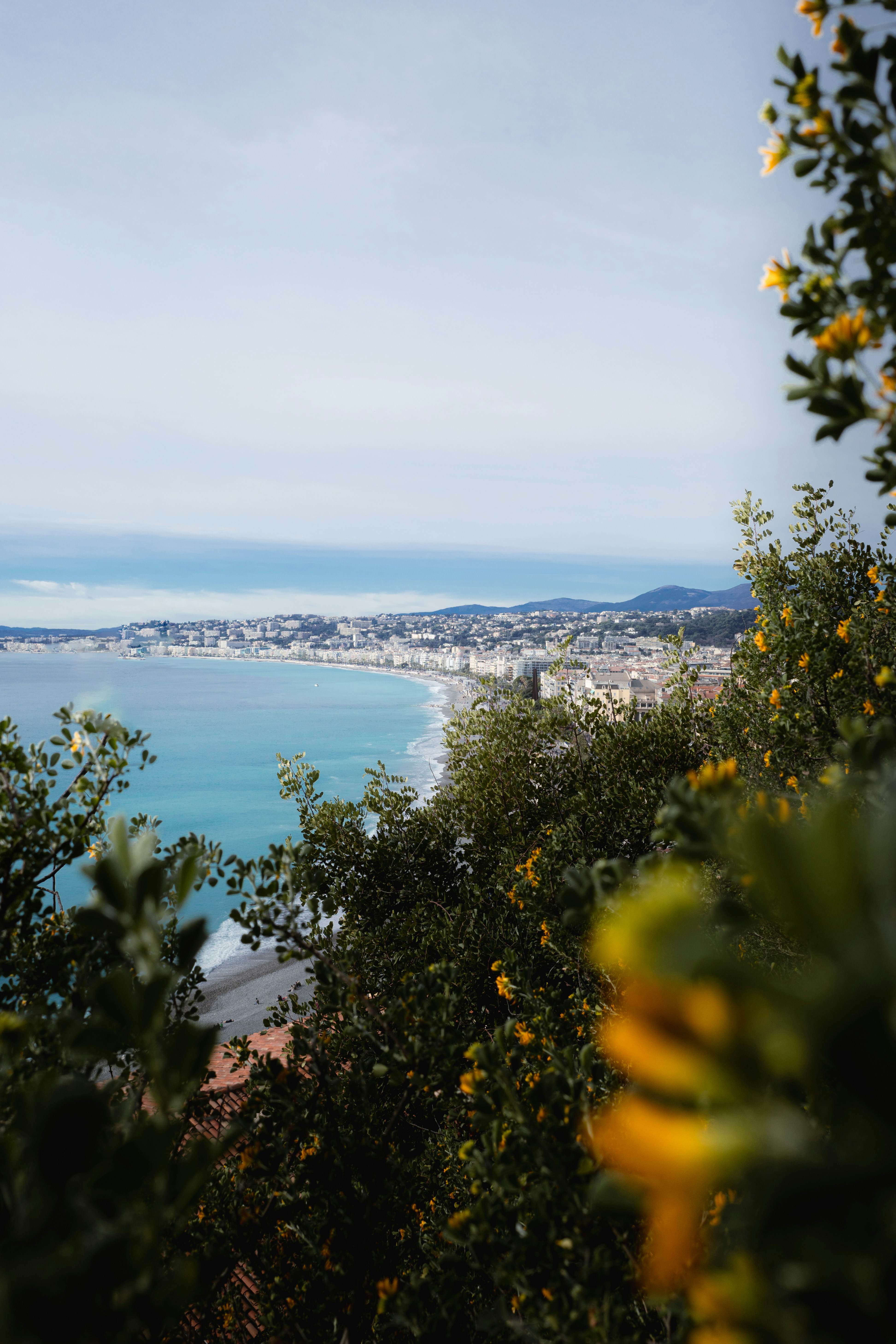 Clifftop View of a Mediterranean Coastline with Blooming Wildflowers