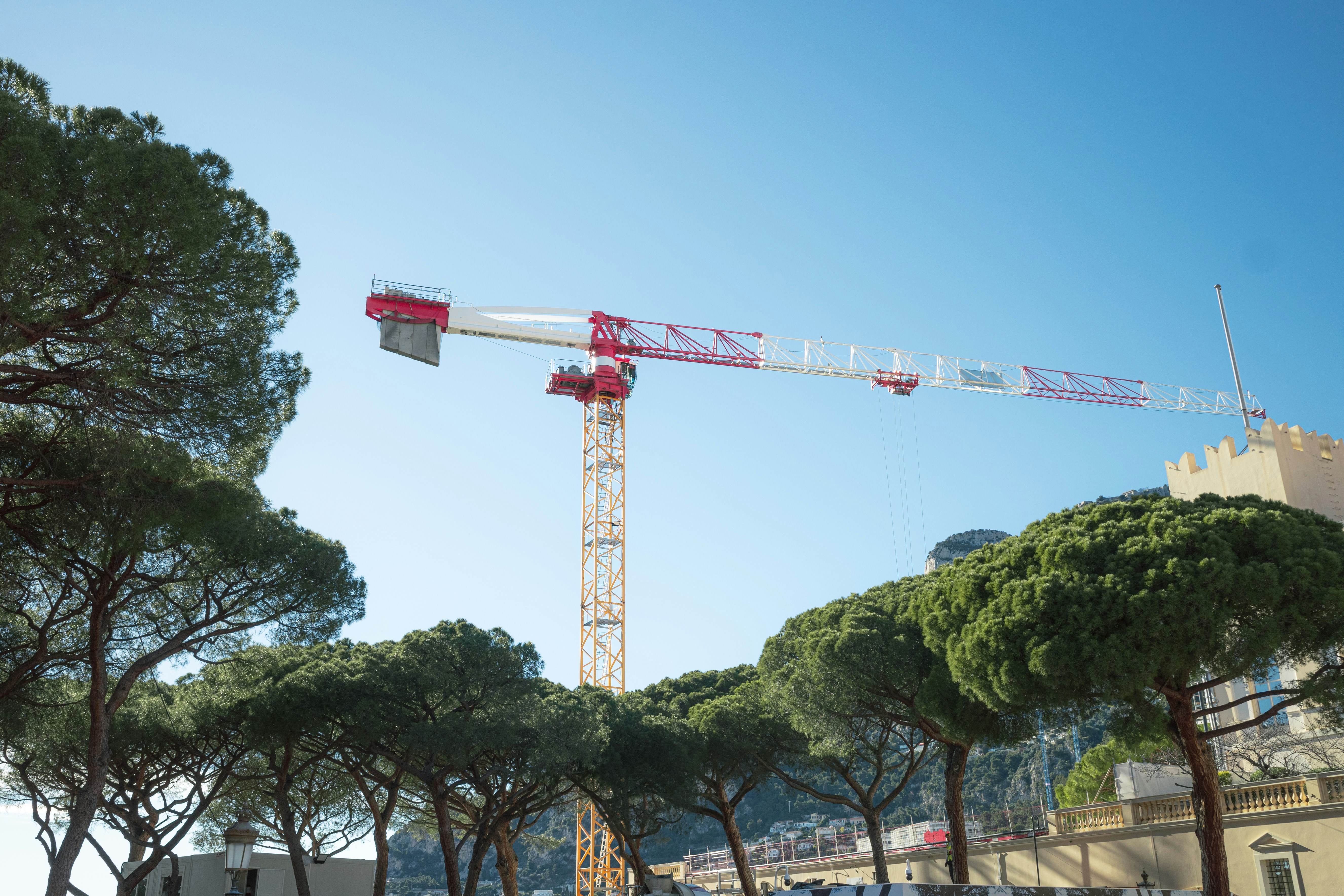 Crane Over the Treeline: A Quiet Urban Construction Scene