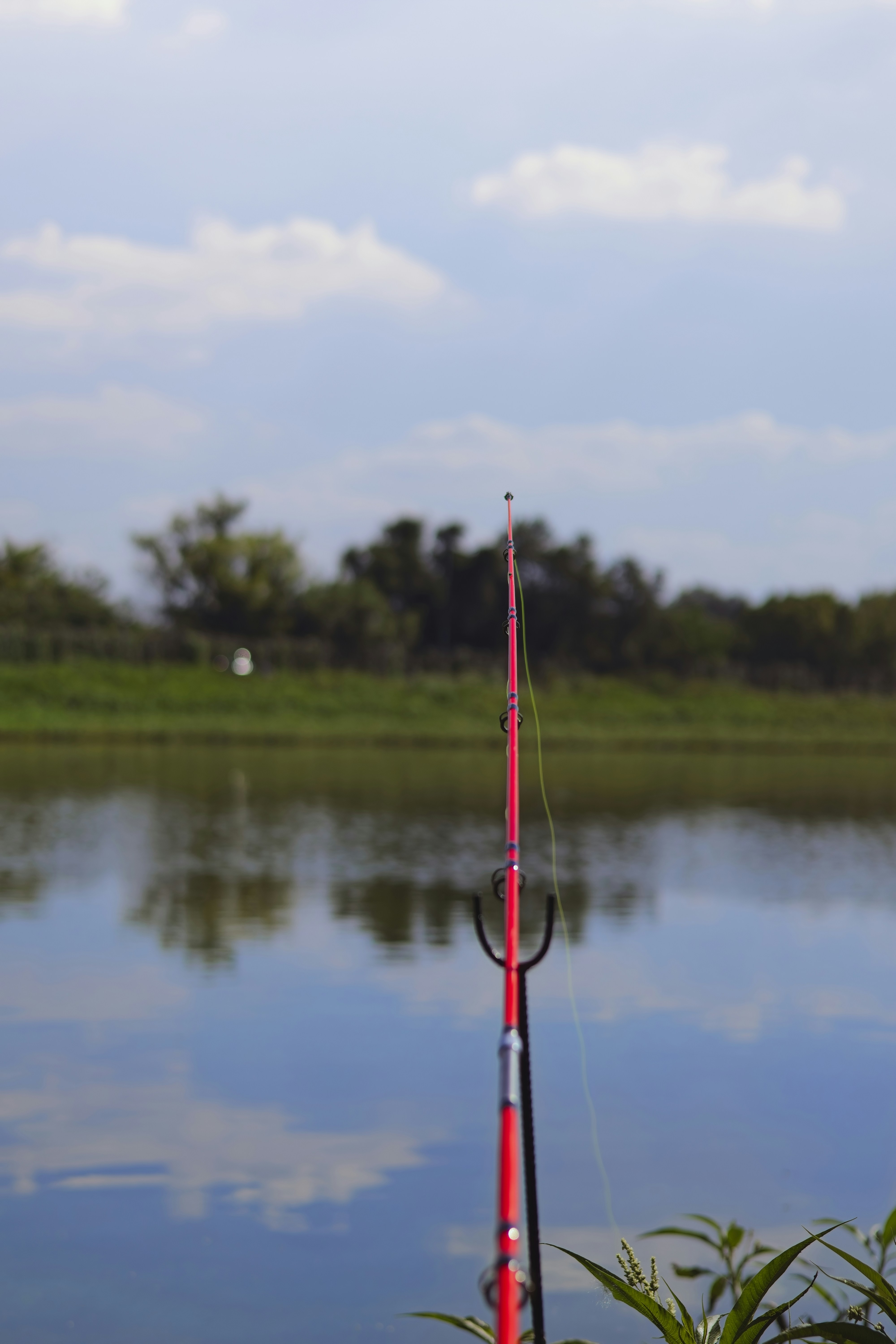Centered Rod: A Quiet Fishing Rod Reaches for the Horizon