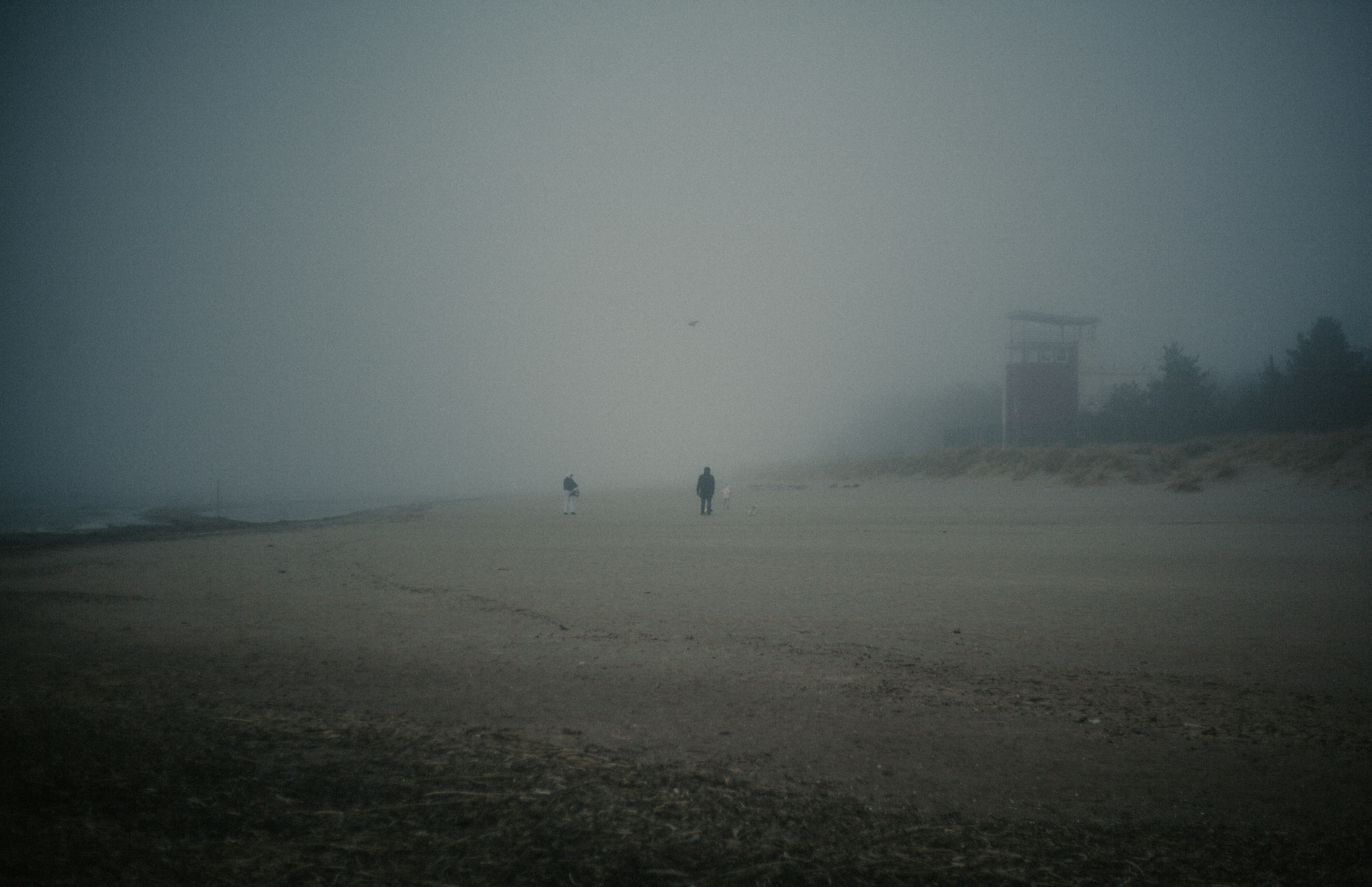 Fogbound Shoreline: two figures vanish into the morning mist