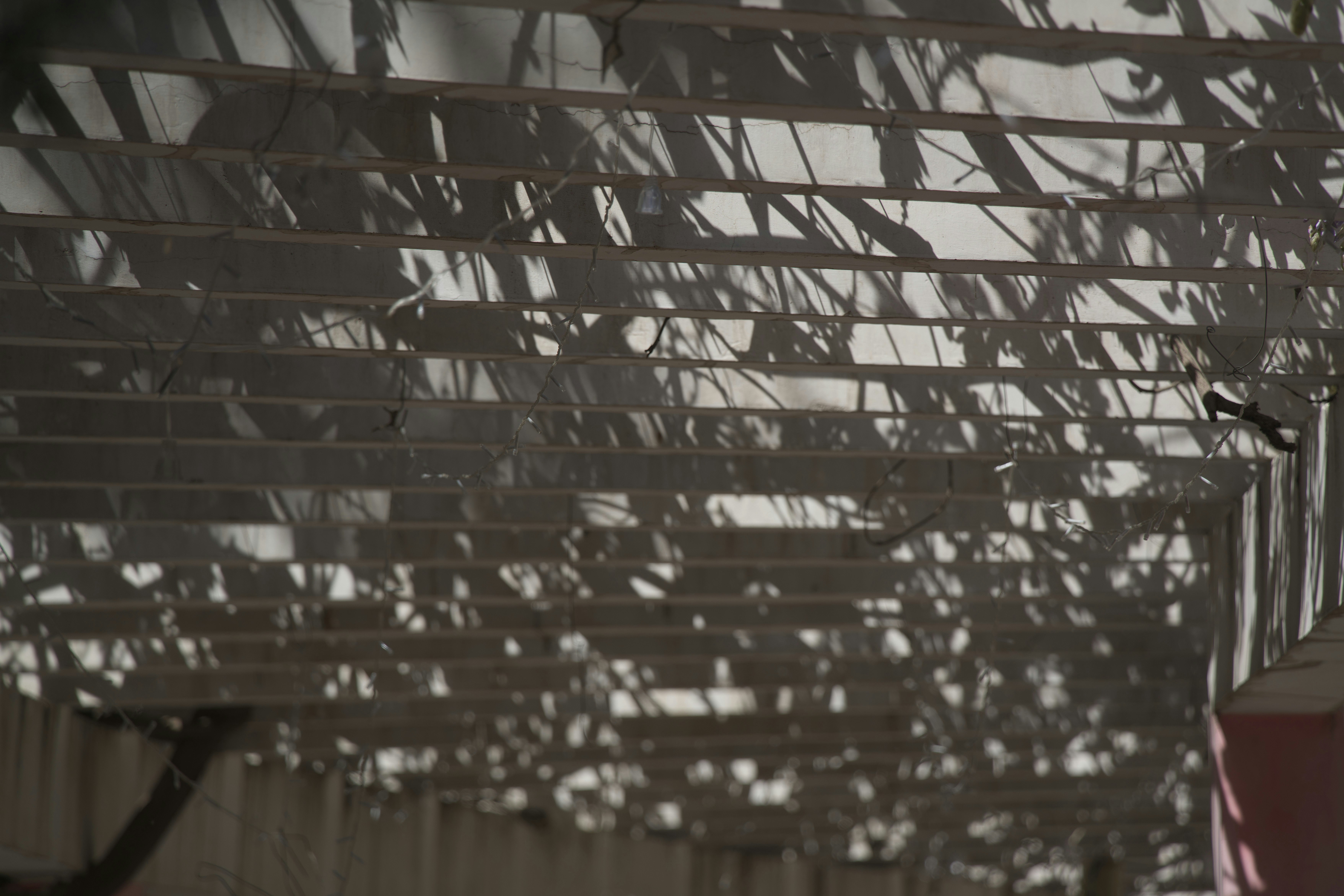 Overhead Lattice of Light and Shadows