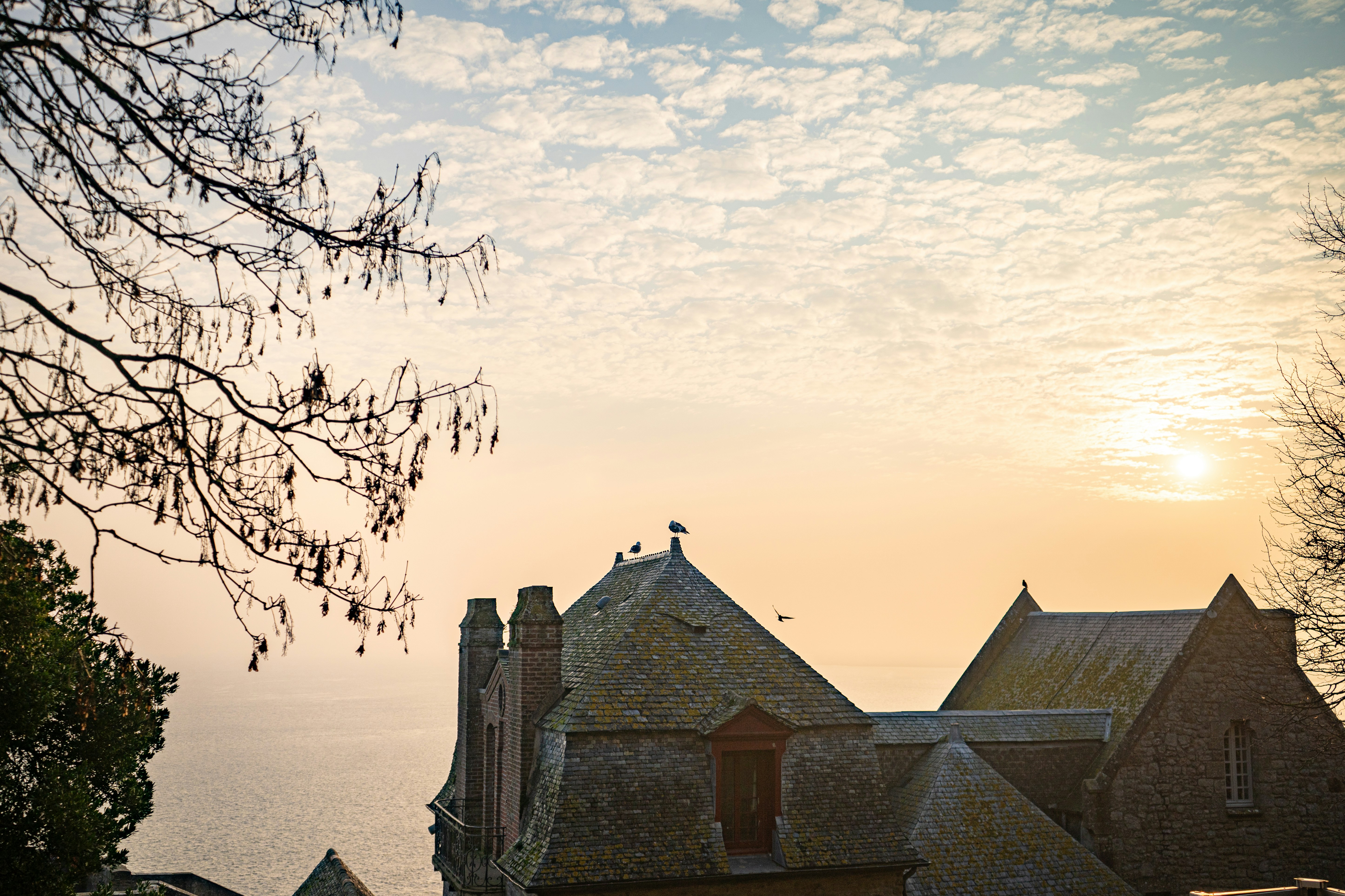 Sunlit Rooftops at the Cliffside Edge