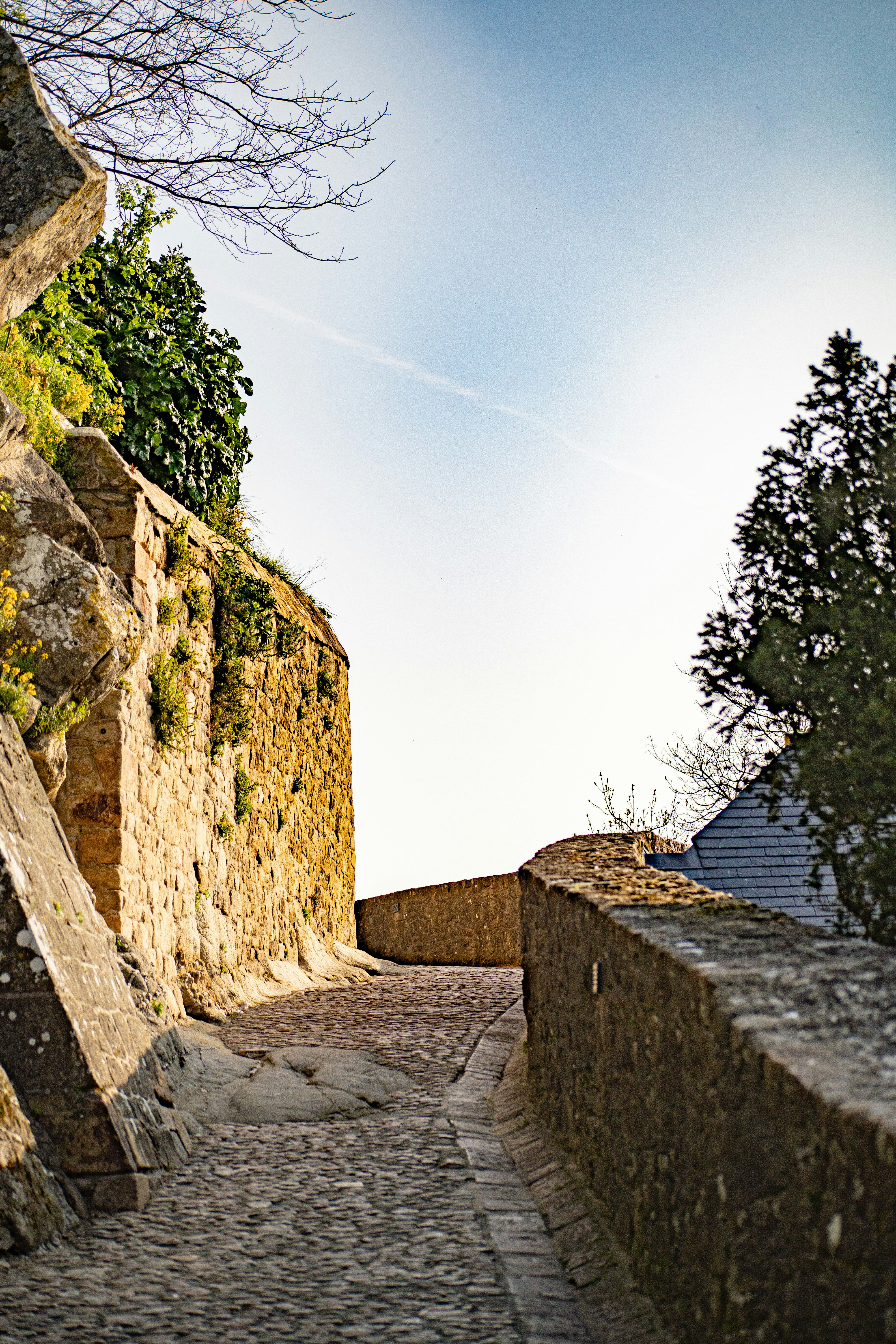 Sunlit stone stairway curving toward a distant horizon