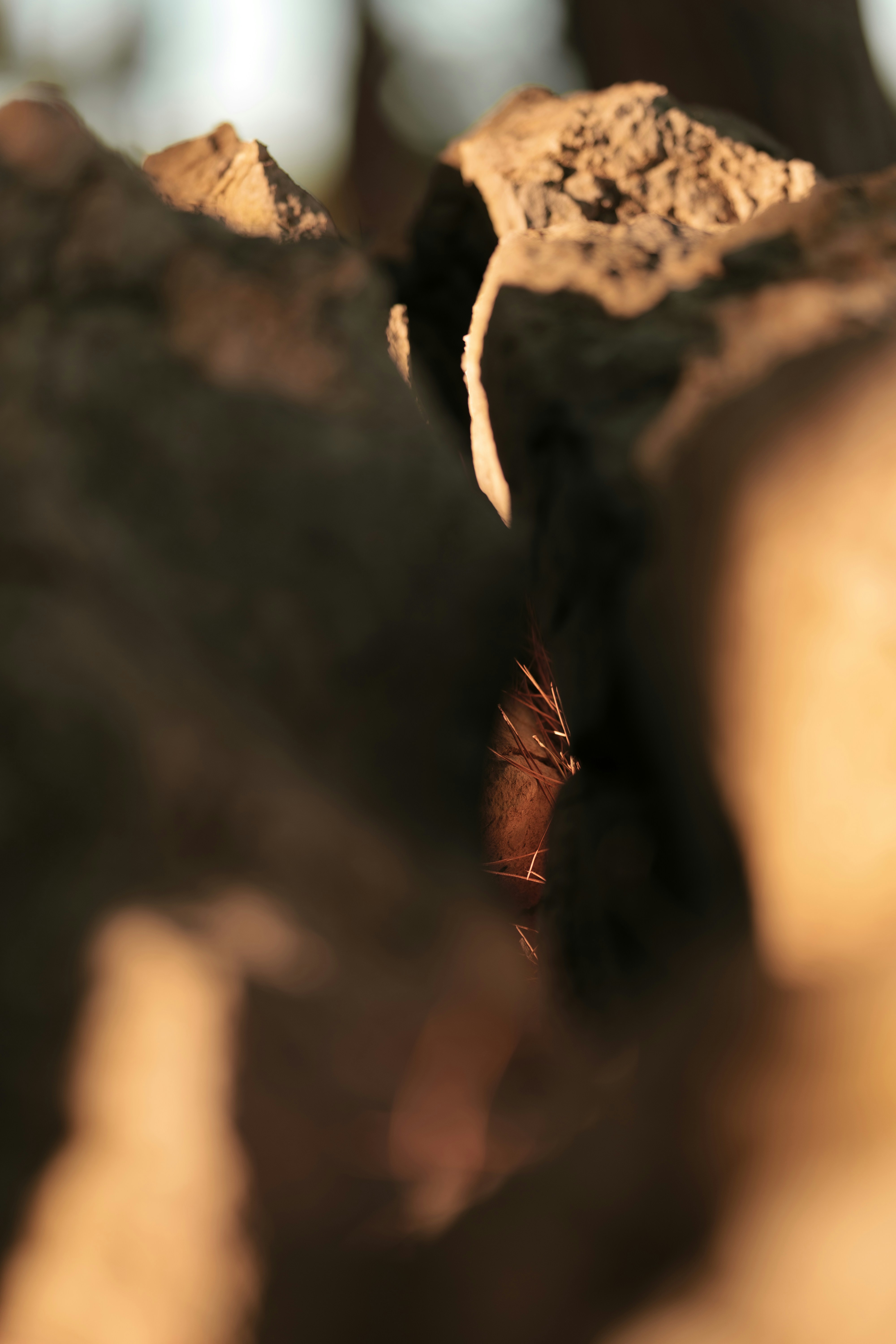Hidden ember: a narrow aperture reveals a flicker of life between stones