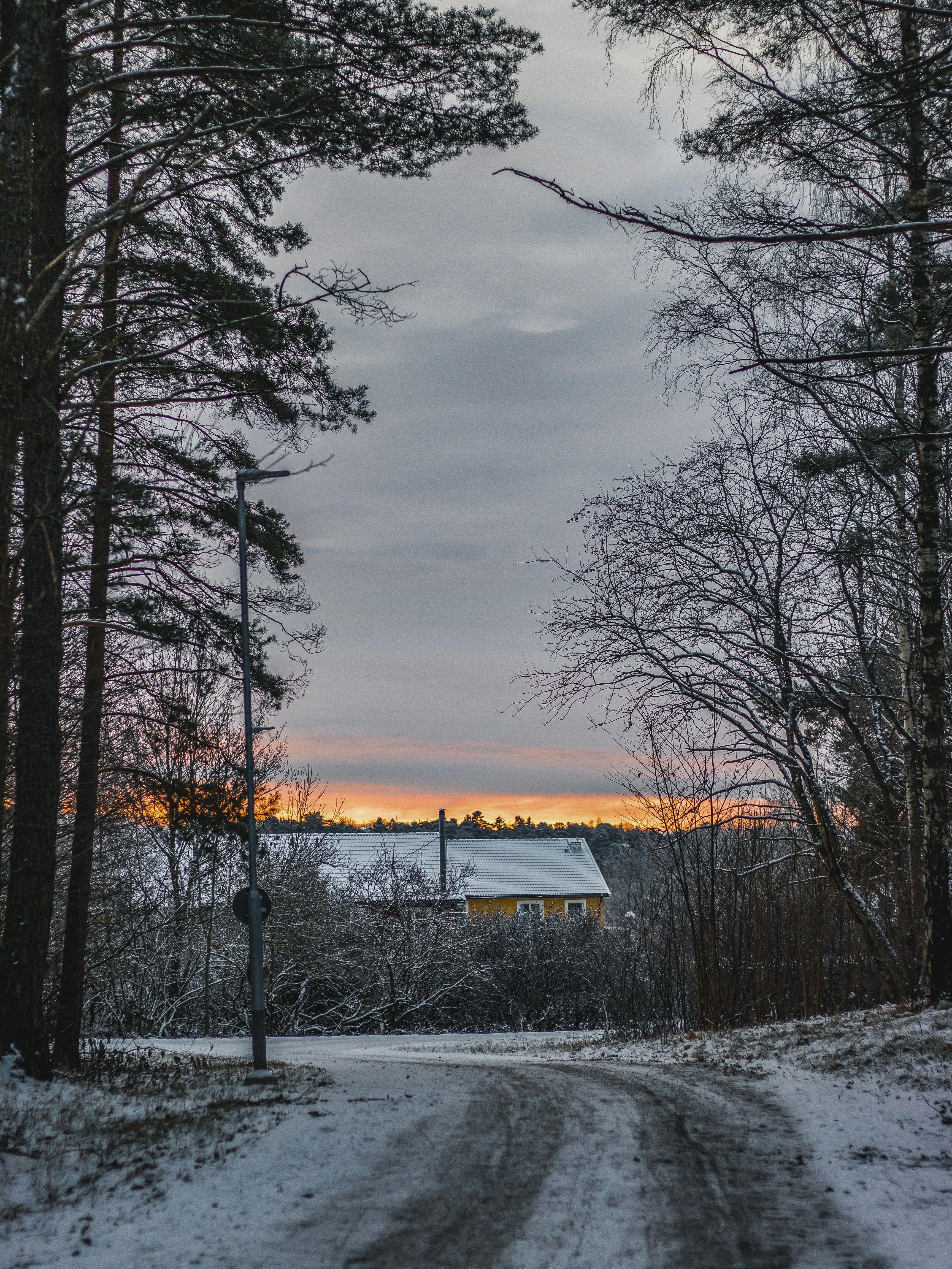 Snowlit Path to a Quiet Sunset Dwellings