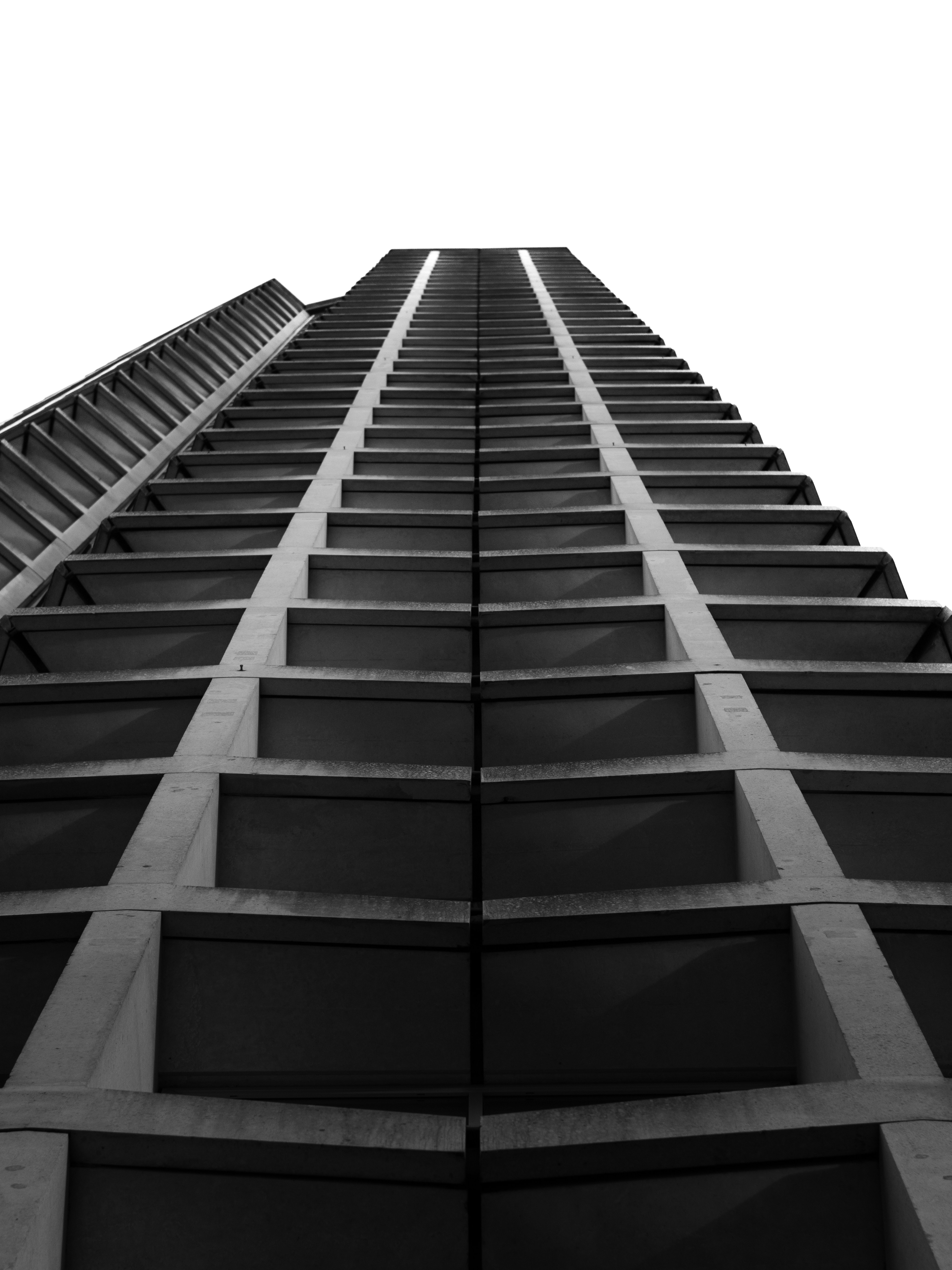 Ascending Concrete Grids: A Black-and-White Facade Reaches the Sky