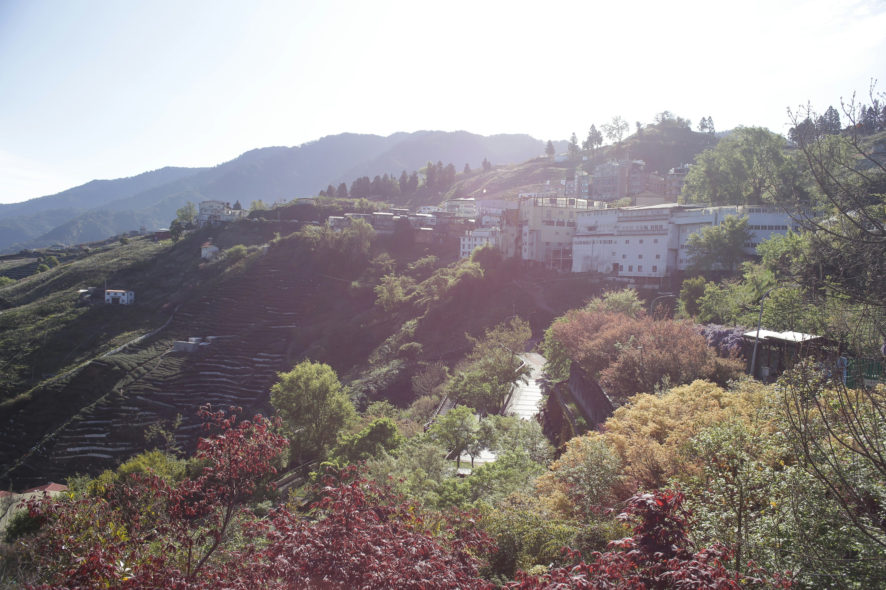 Terraced hillside village tucked under a sunlit ridge