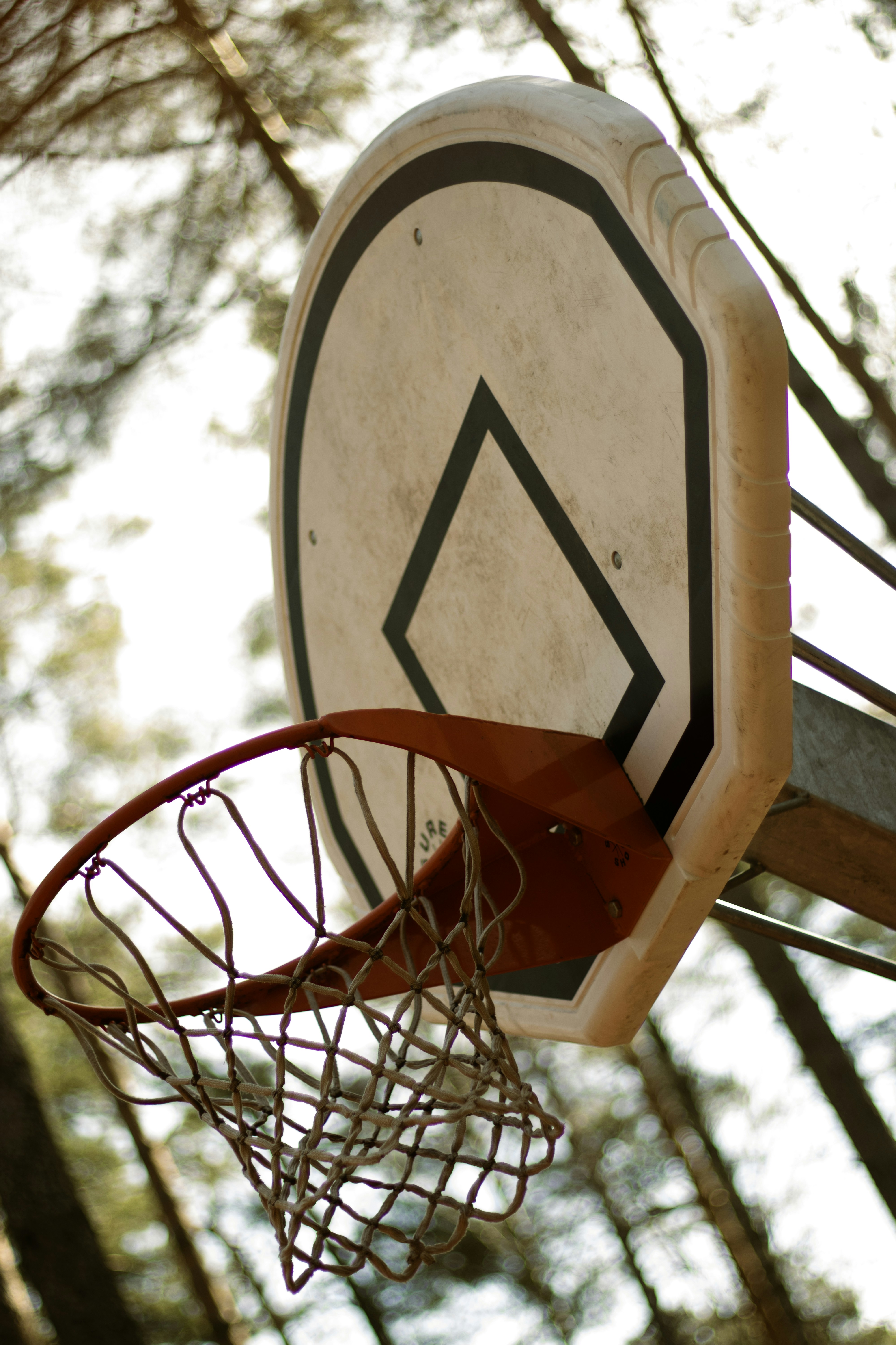 Basketball Hoop Under Dappled Trees: A Close-Up of the Backboard and Net